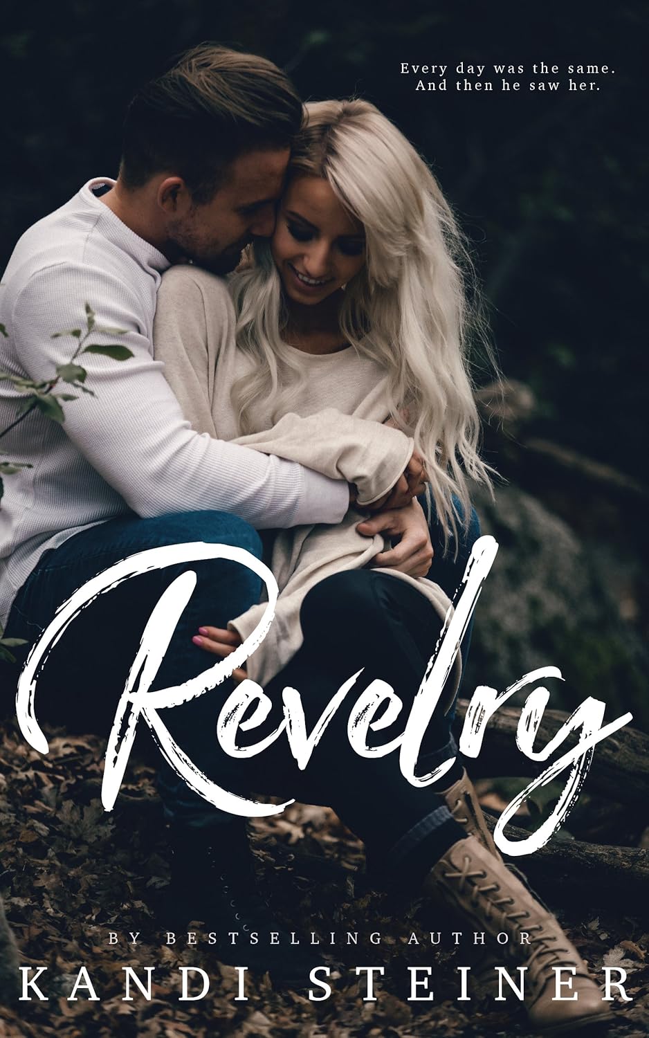 Revelry: A Cabin Town Romance - Kindle edition by Steiner, Kandi ...