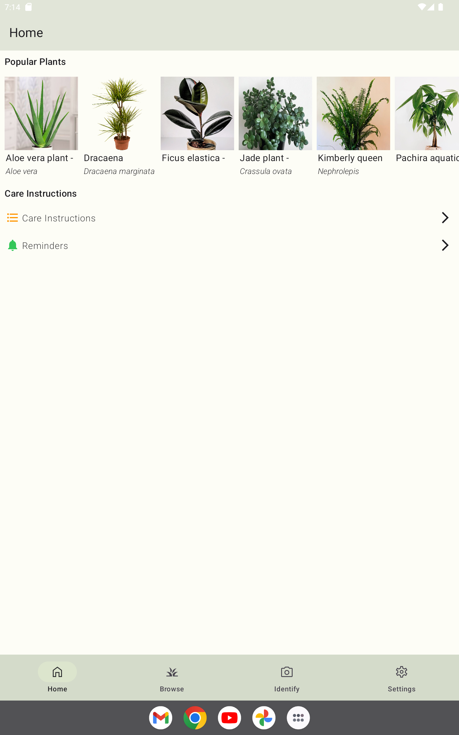 Plant Care - Identify Flowers - App on Amazon Appstore