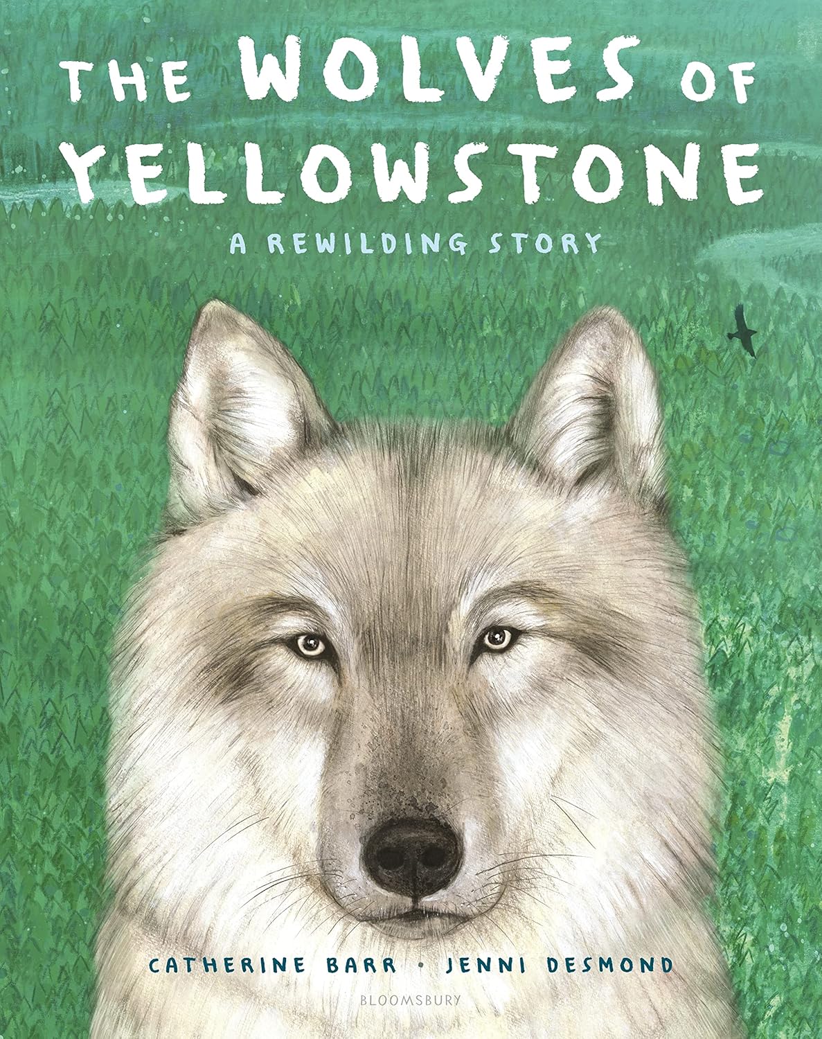 The Wolves of Yellowstone: A Rewilding Story: Barr, Catherine ...