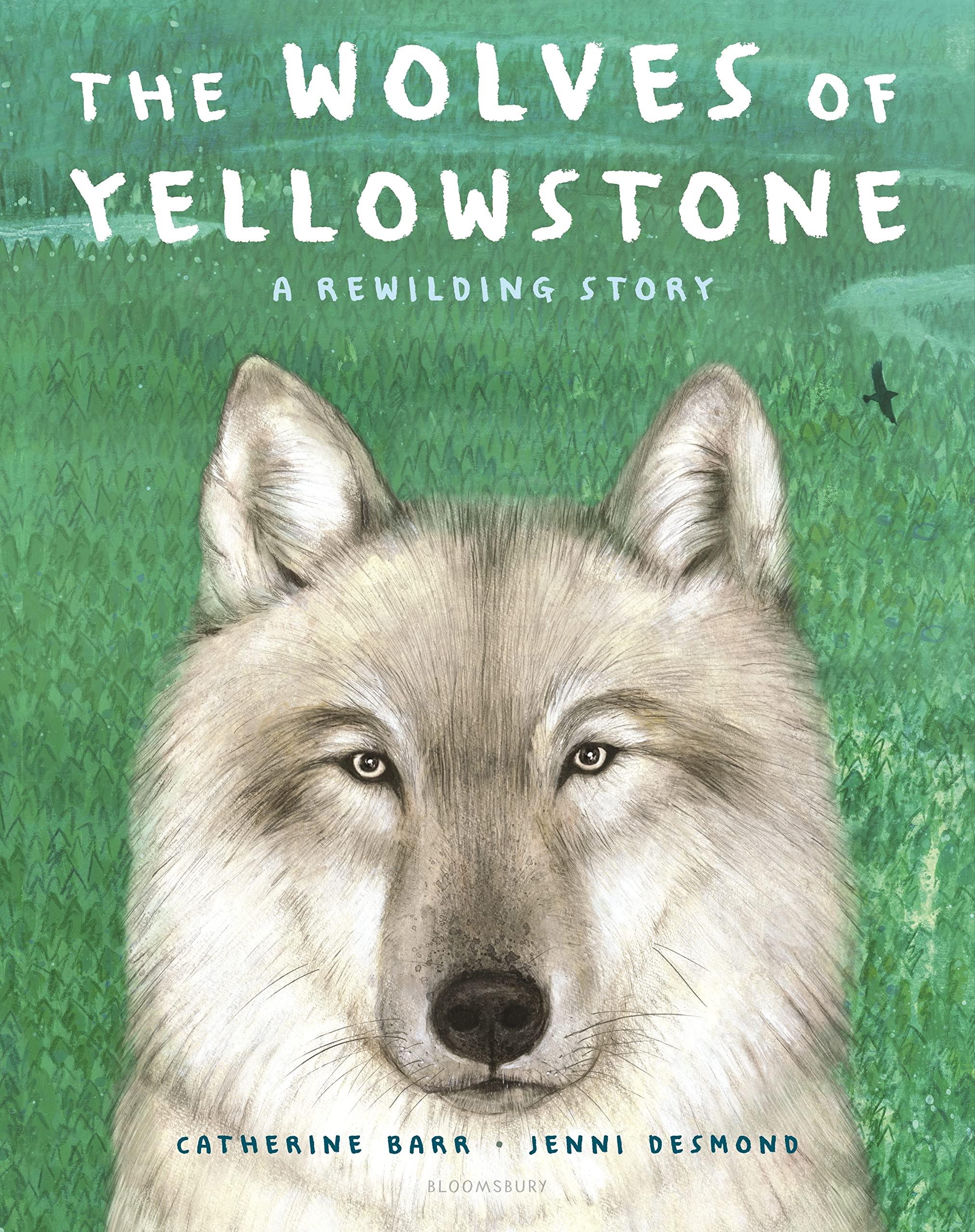 The Wolves of Yellowstone: A Rewilding Story: Barr, Catherine ...
