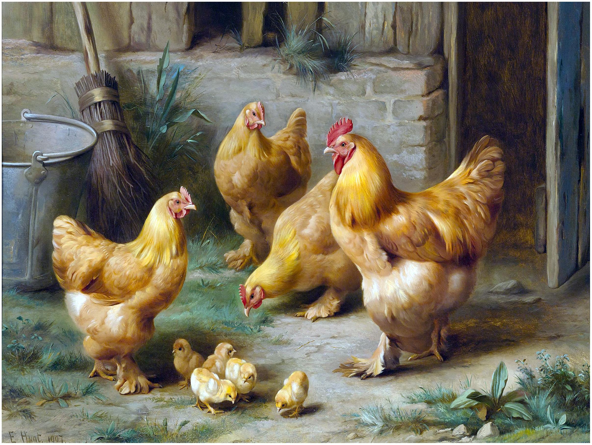 Chicken Rooster and Chicks by Edgar Hunt Accent Tile Mural Kitchen ...
