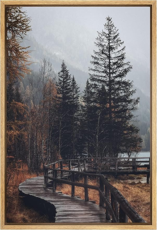 Amazon.com: SIGNWIN Framed Canvas Wall Art Autumn Dramatic Forest ...