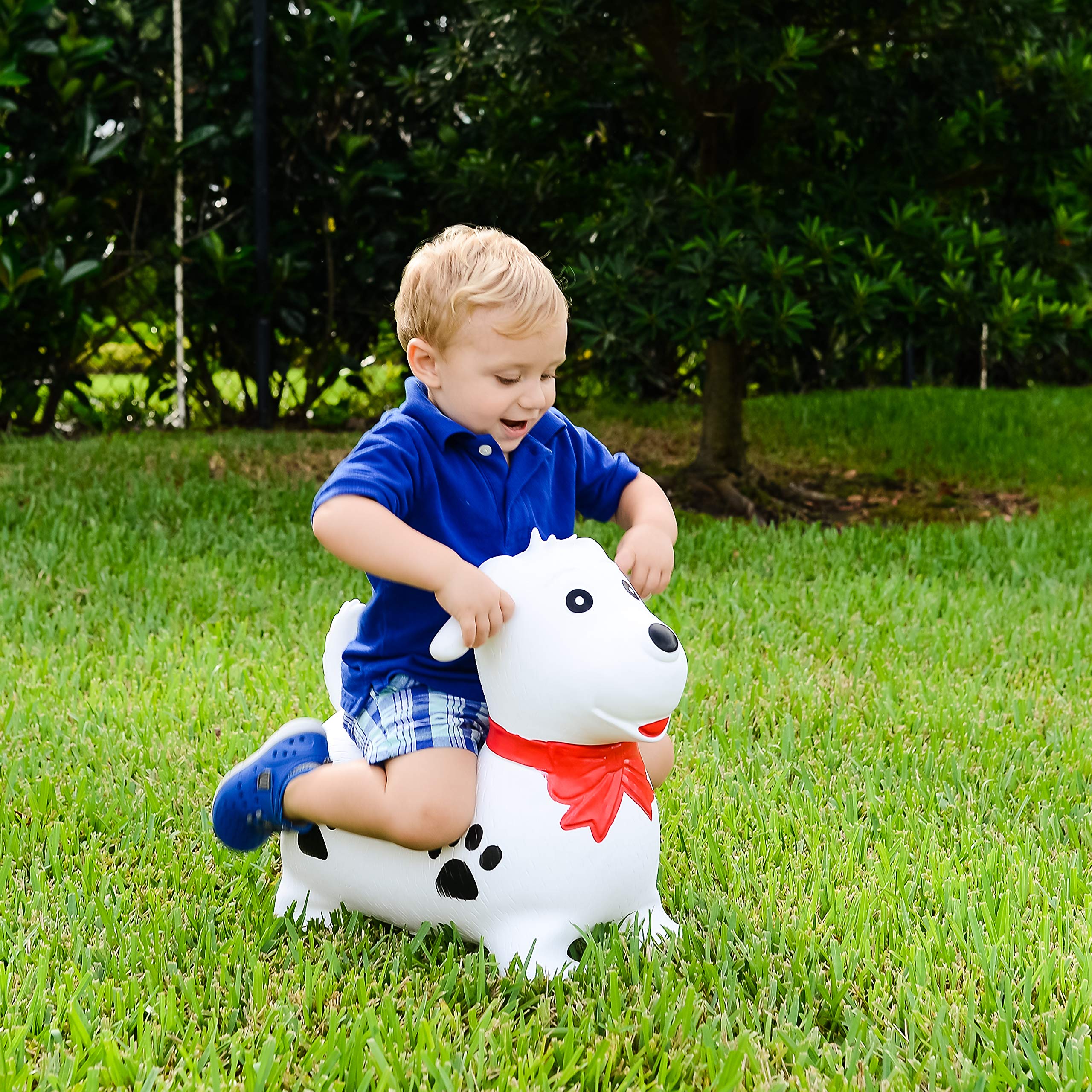Kiddie Play Bouncy Dog Hopper for Toddlers Inflatable Puppy Animals ...