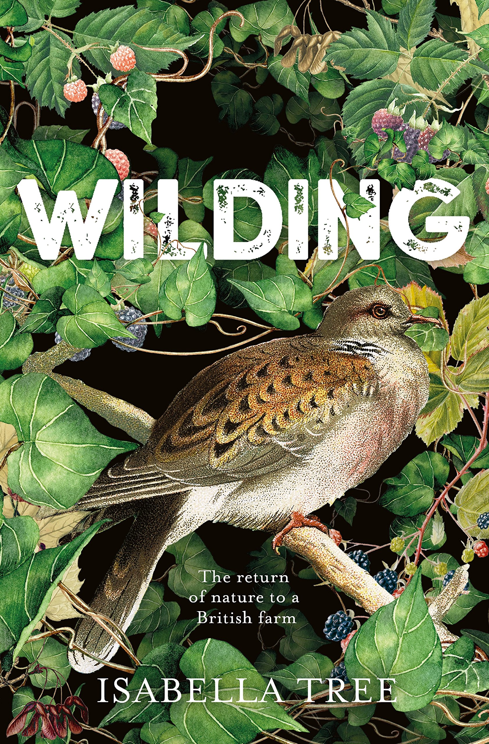 Wilding: The return of nature to a British farm: Amazon.co.uk: Tree ...