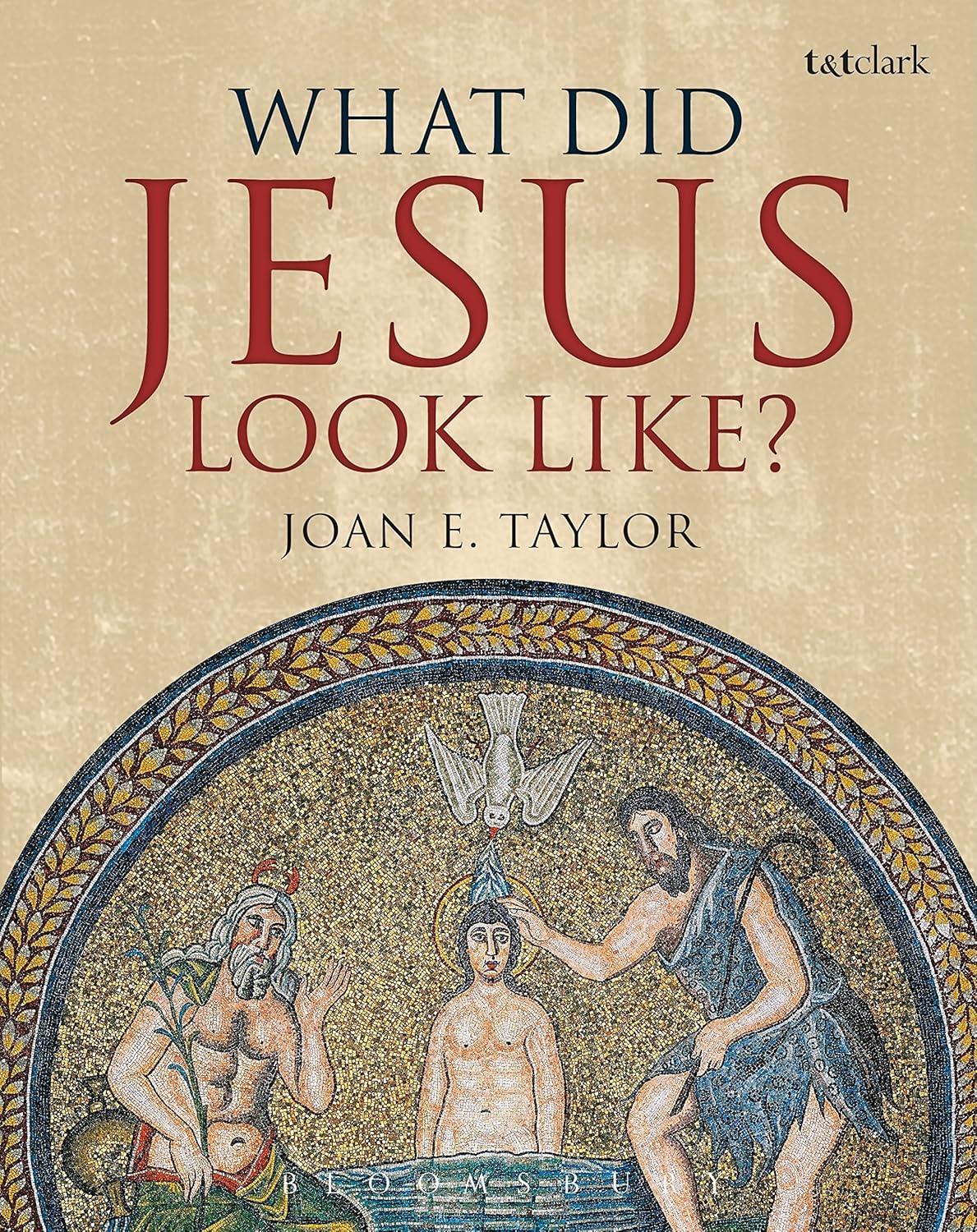 What Did Jesus Look Like?: Taylor, Joan E.: 9780567671509: Amazon.com ...