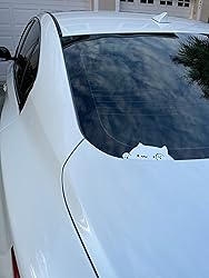 Amazon.com: Bongo Cat Funny Meme Vinyl Laptop Wall Car Window Sticker ...