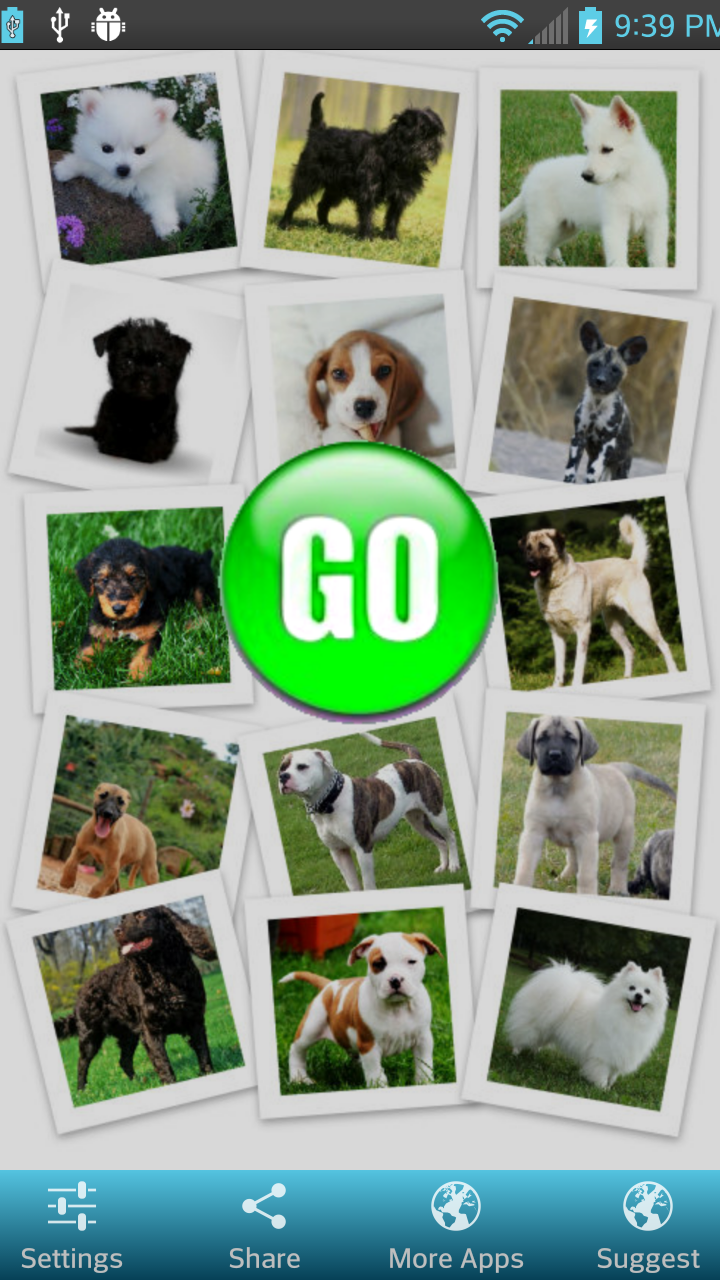 Dog Breed Quiz - App on Amazon Appstore