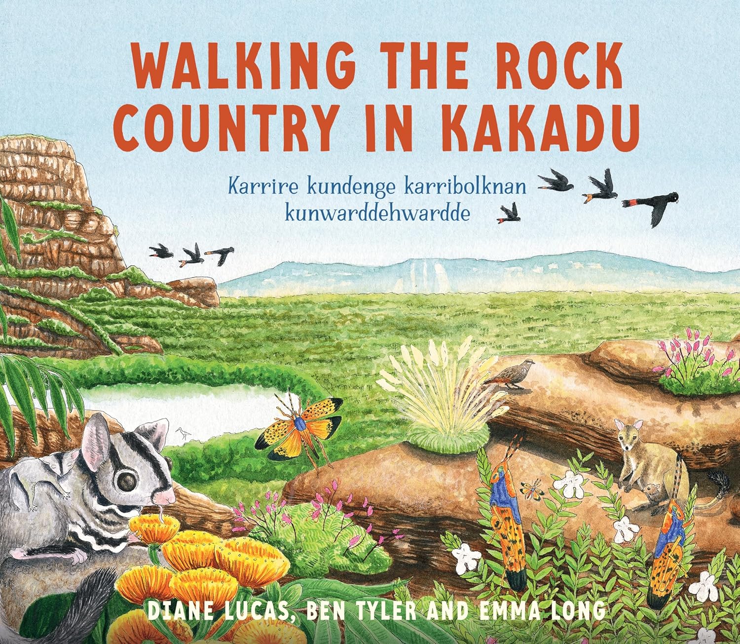 Amazon | Walking the Rock Country in Kakadu: Karrire Kundenge ...