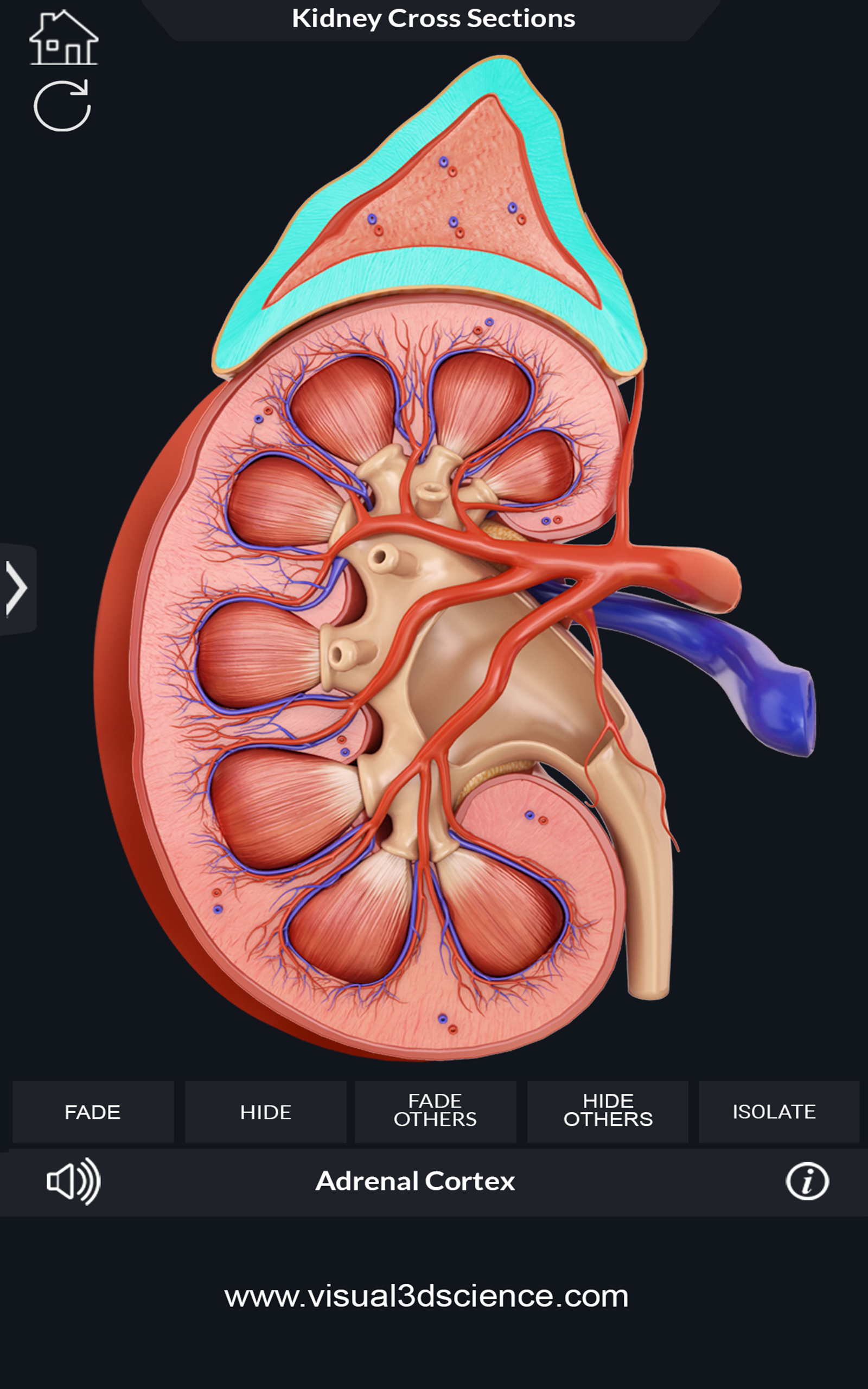 My Urinary System:Amazon.co.uk:Appstore for Android