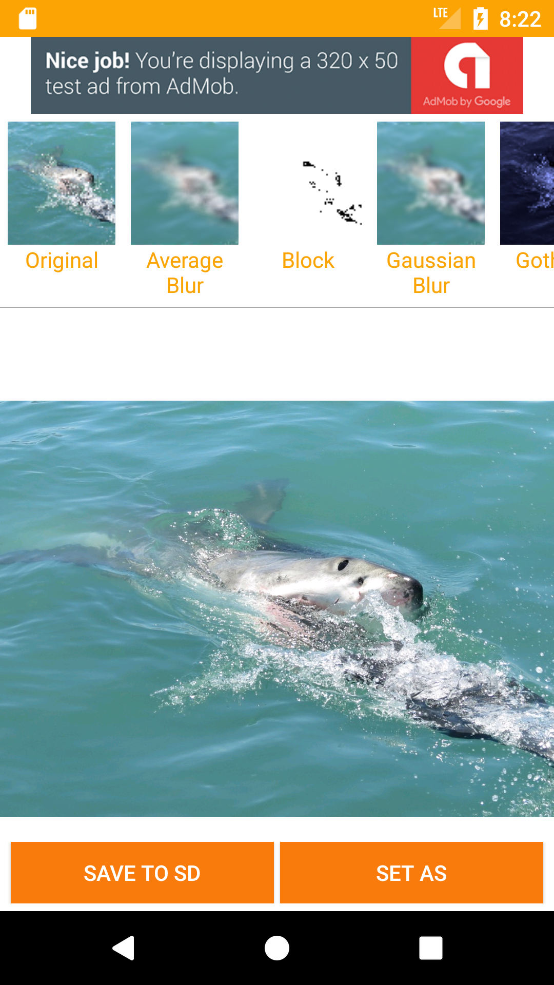 Shark Wallpaper HD - App on the Amazon Appstore