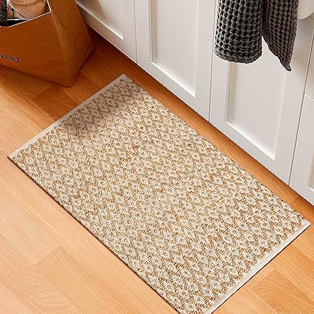 Amazon.com: SAFAVIEH Cape Cod Collection 2' x 3' Natural CAP355A ...