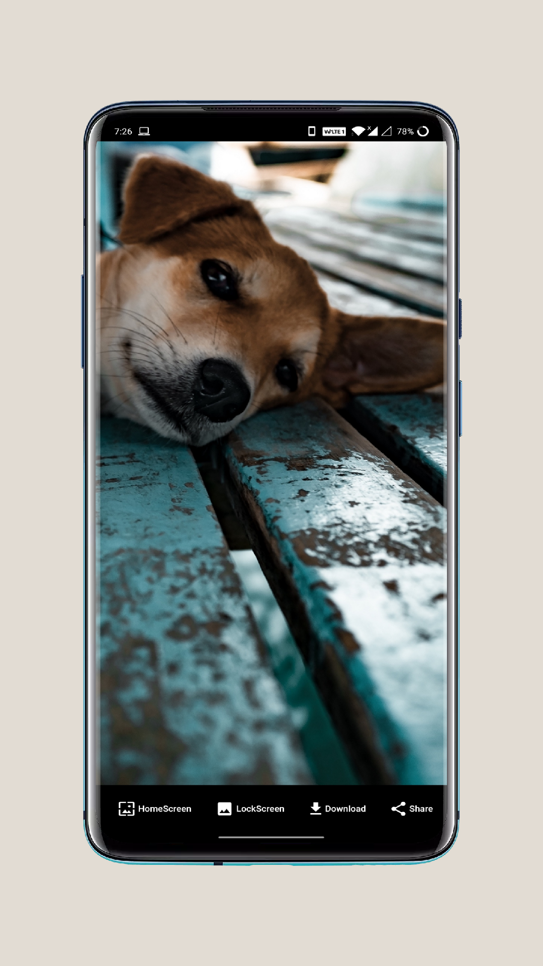 Dog Wallpaper For Android Tablet at Adela Spooner blog