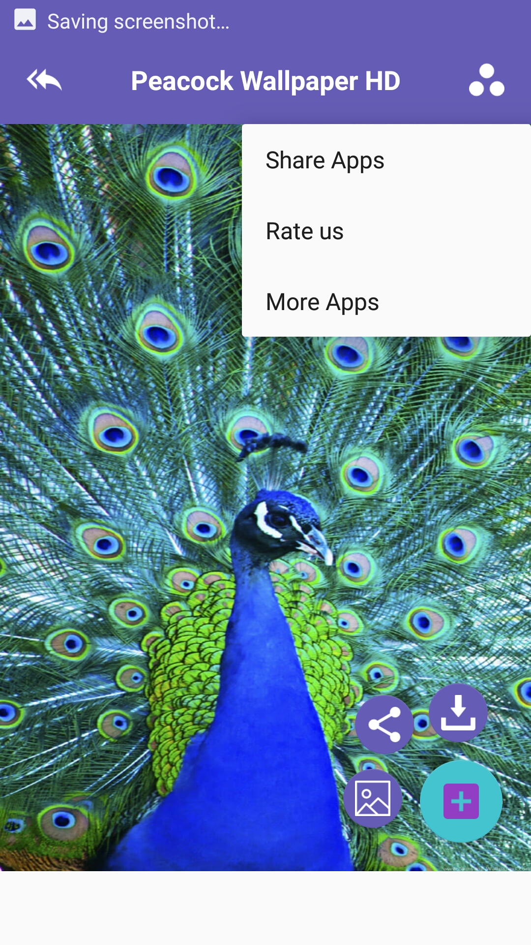 Peacock 4k Wallpaper - App on Amazon Appstore