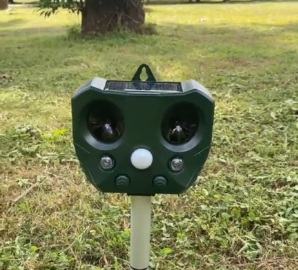 Watch Outdoor Animal Deterrent Devices on Amazon Live