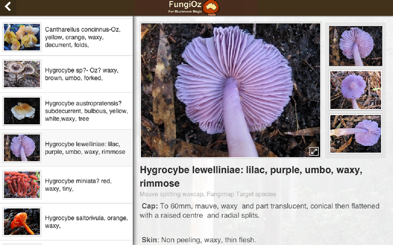 FungiOz - All things Mushroom - App on Amazon Appstore