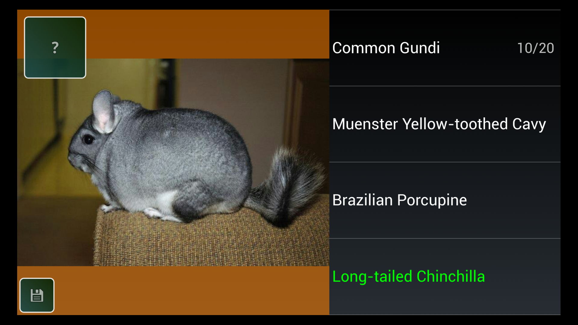 Rodent Species Trivia Quiz - App on Amazon Appstore
