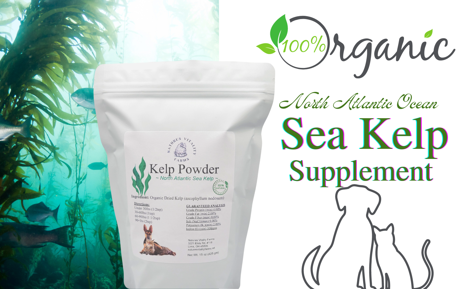 Easily Add To Your Dog Or Cats Food easily-add-to-your-dog-or-cats-food