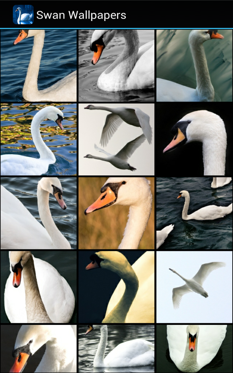 Swan Wallpapers - App on the Amazon Appstore