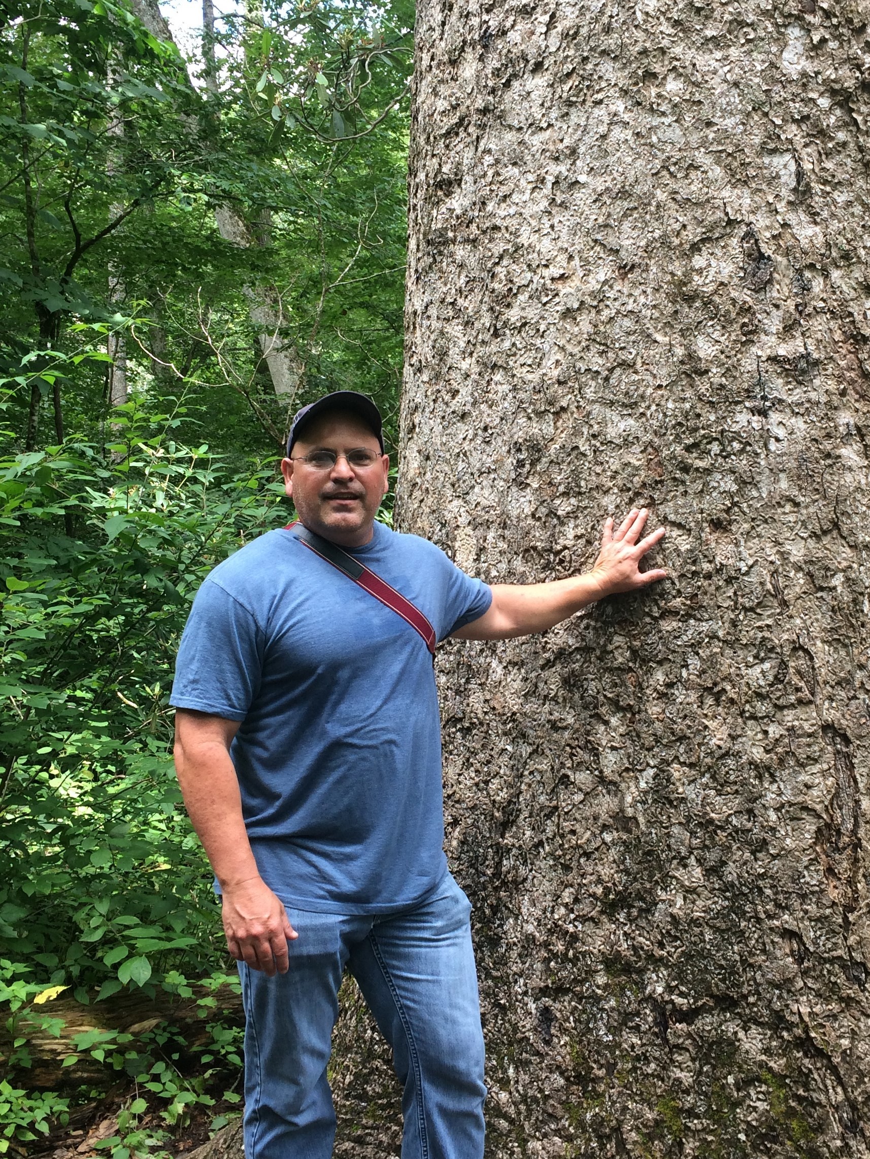 Amazon.com: Jay Reed: books, biography, latest update