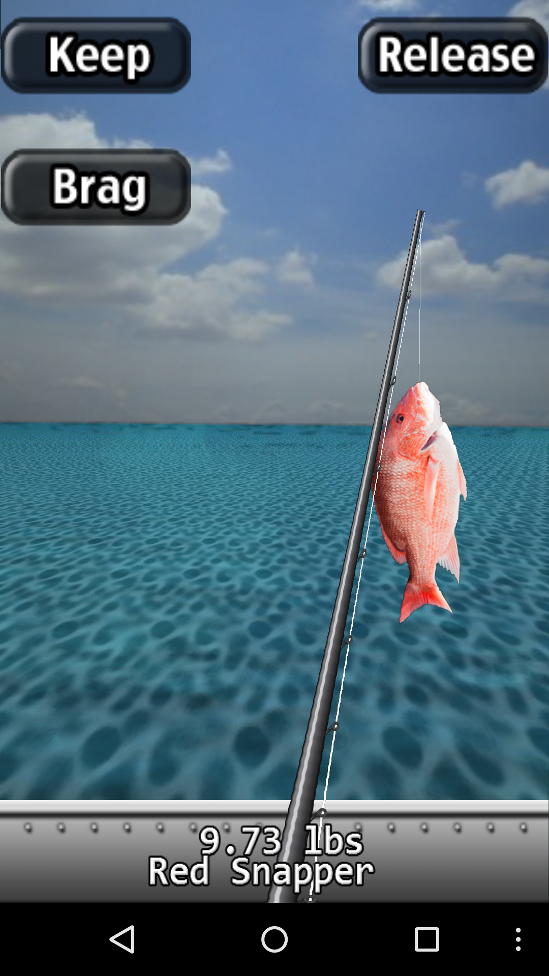 iFishing Saltwater - App on Amazon Appstore