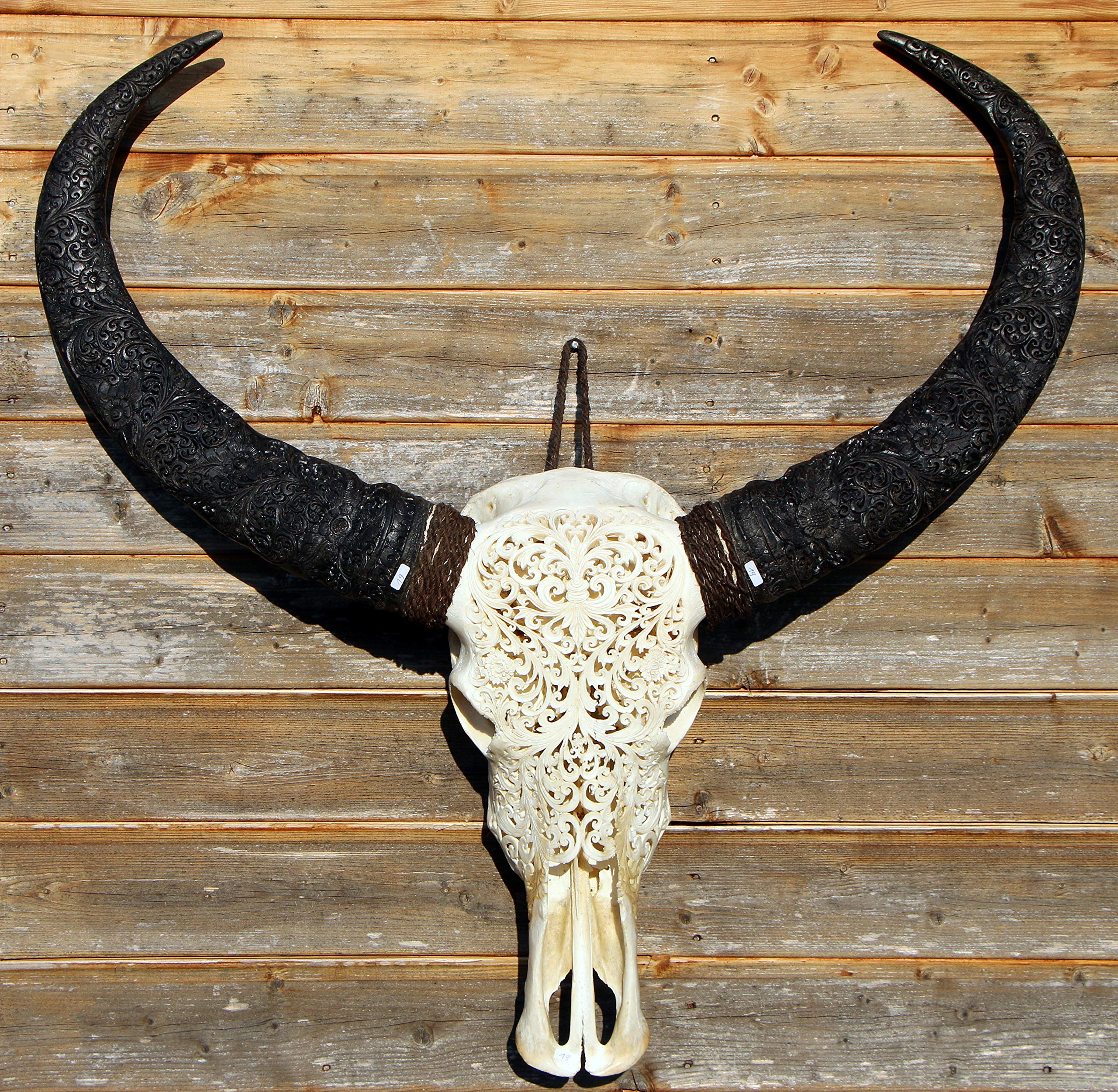 Longhorn Schädel Umriss