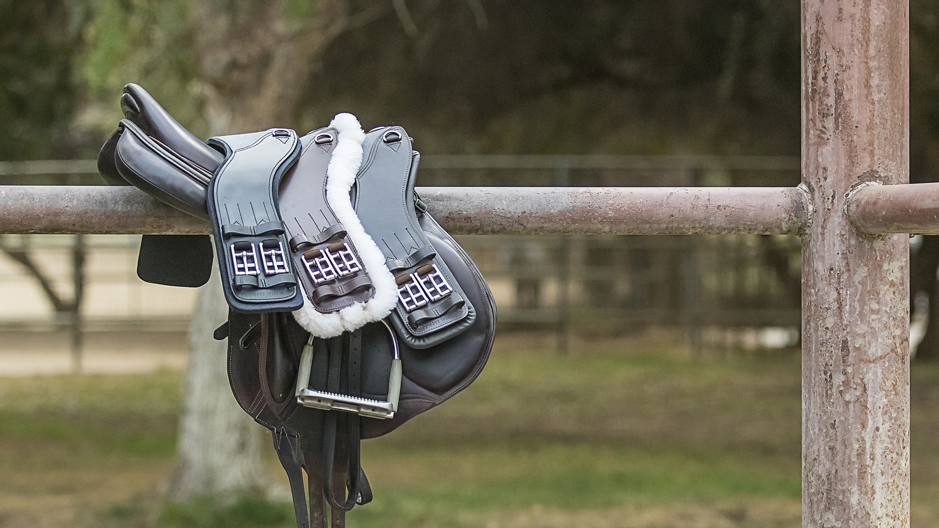 Snapklik.com : Total Saddle Fit - StretchTec Shoulder Relief Girth