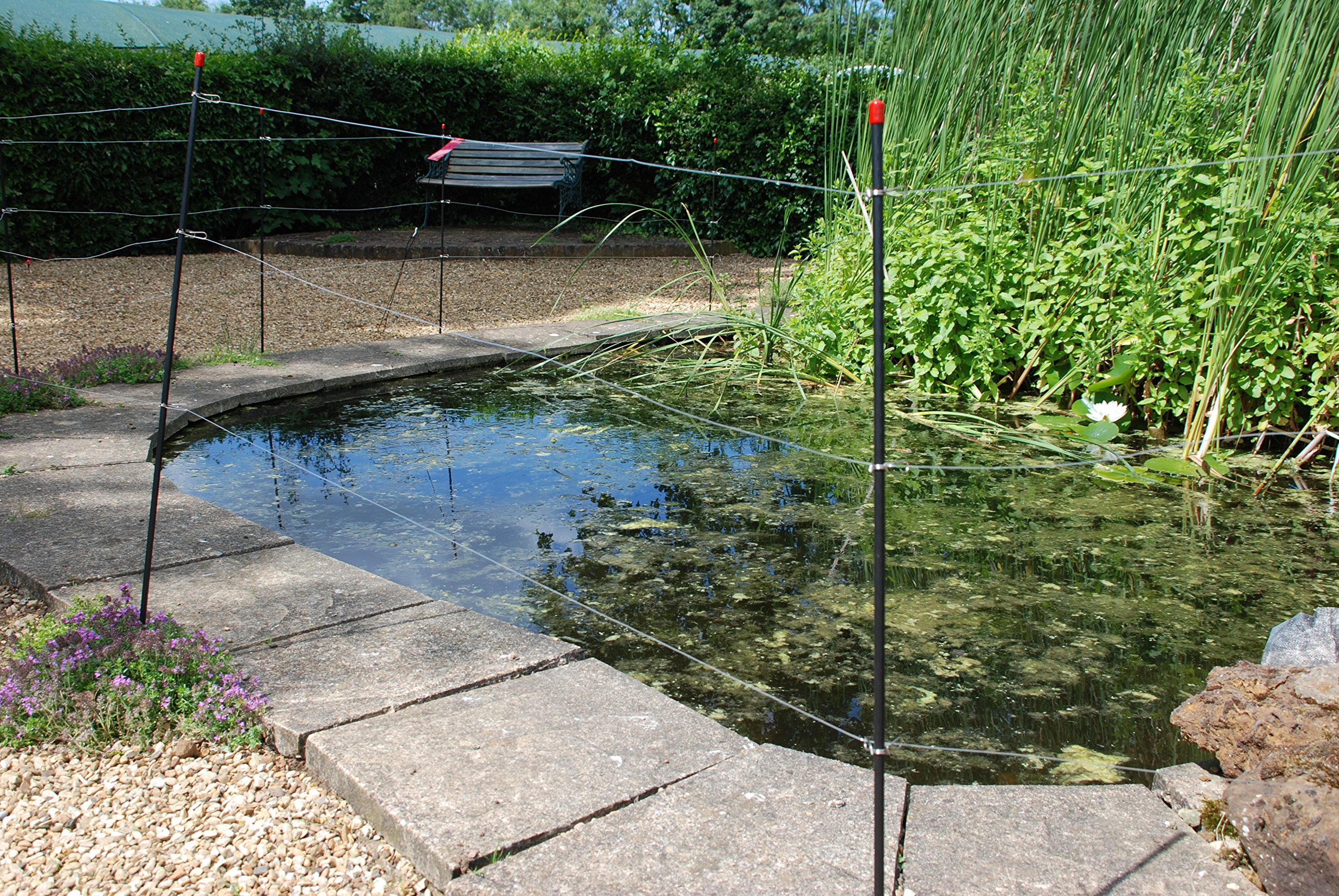 Electric Fence Around Pond