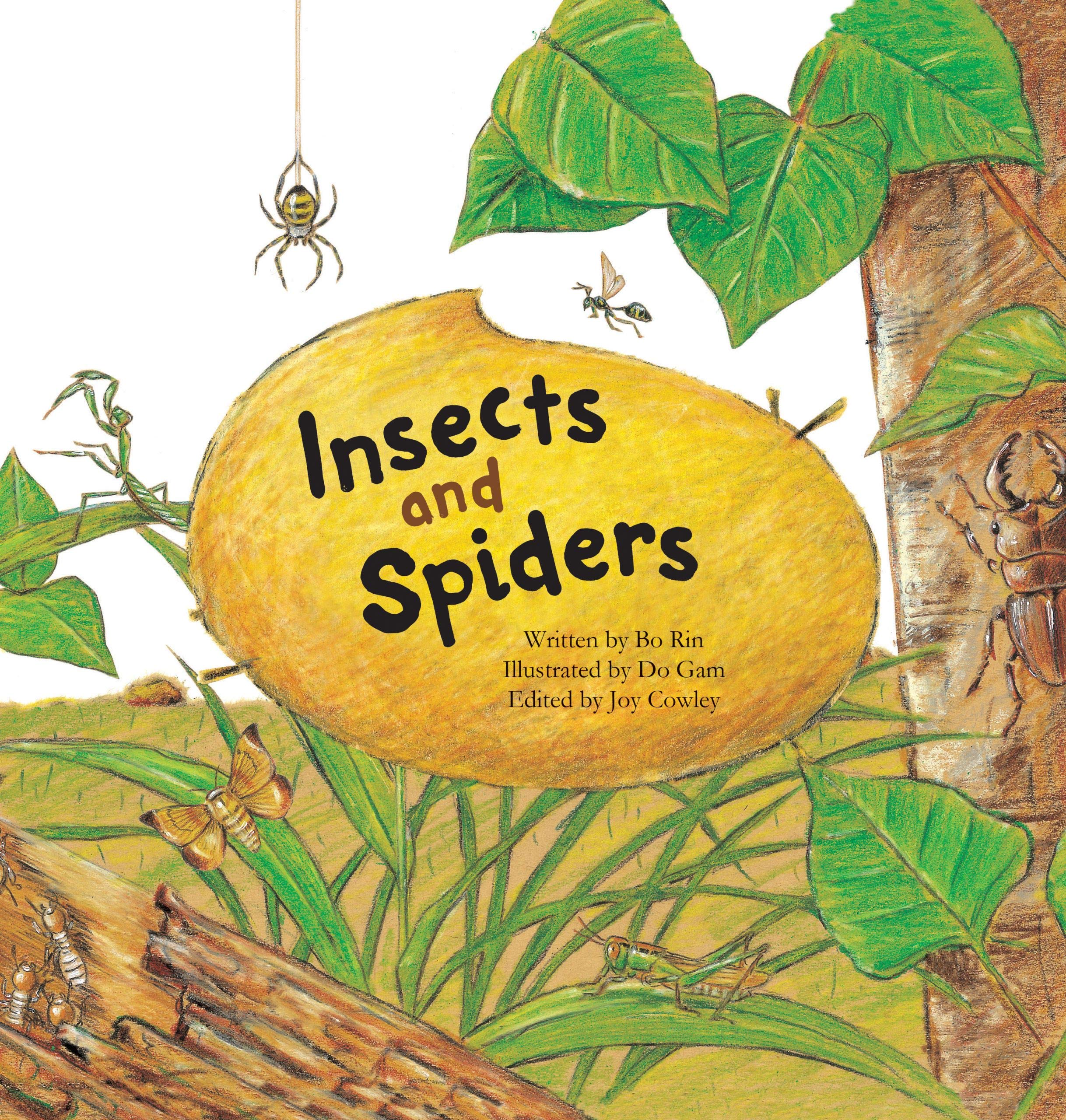 Insects and Spiders: Insects and Spiders (Science Storybooks): Rin, Bo ...