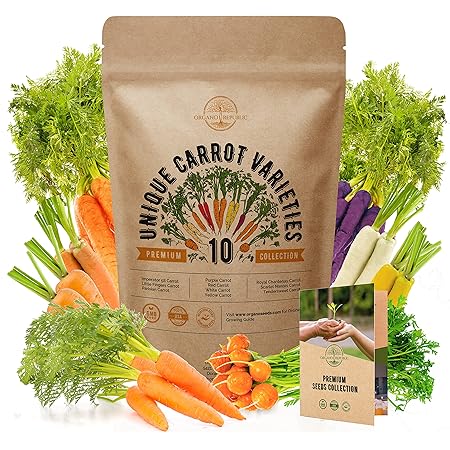 Amazon.com : 25 Winter Vegetable Garden Seeds Variety Pack for Planting ...