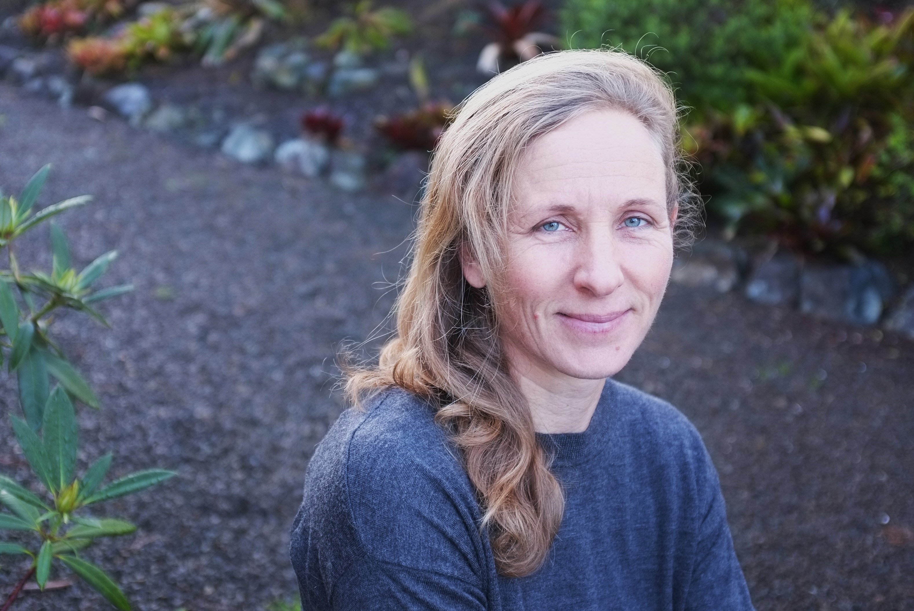 Amazon.com: Carol Roberts: books, biography, latest update