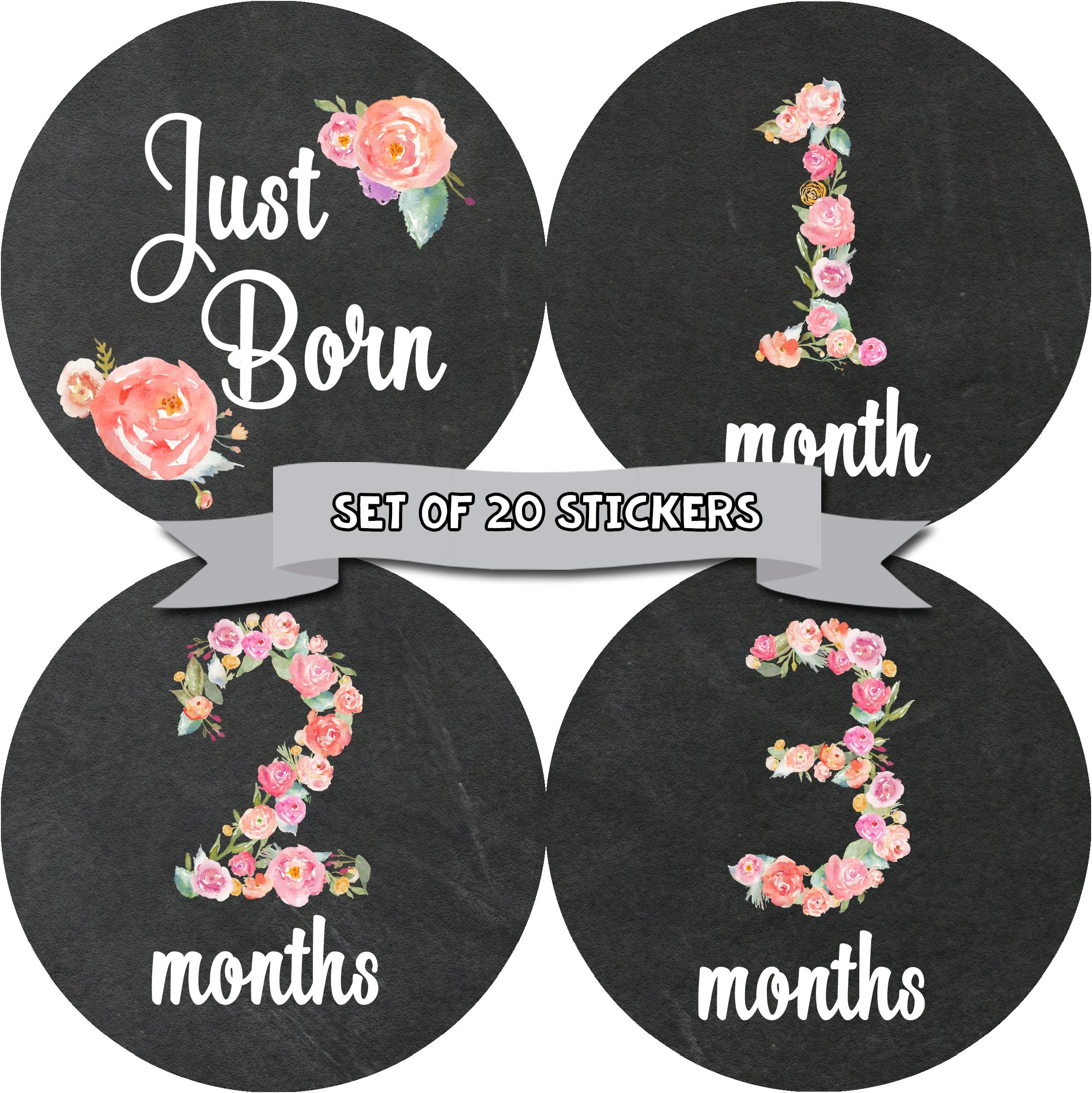 Amazon.com: Months in Motion Baby Monthly Necktie Stickers - Baby ...