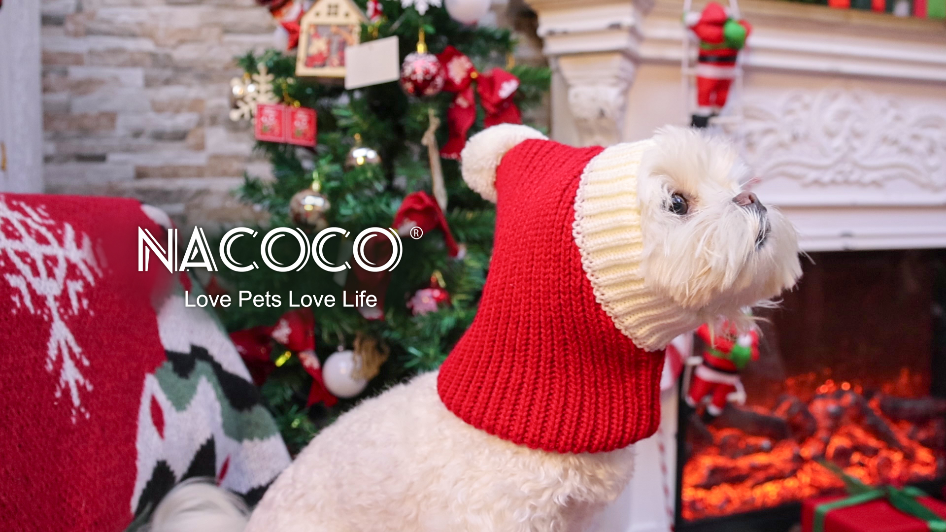 Santa Hat For Dogs Crochet Pattern Crochet Christmas Dog Bandana And