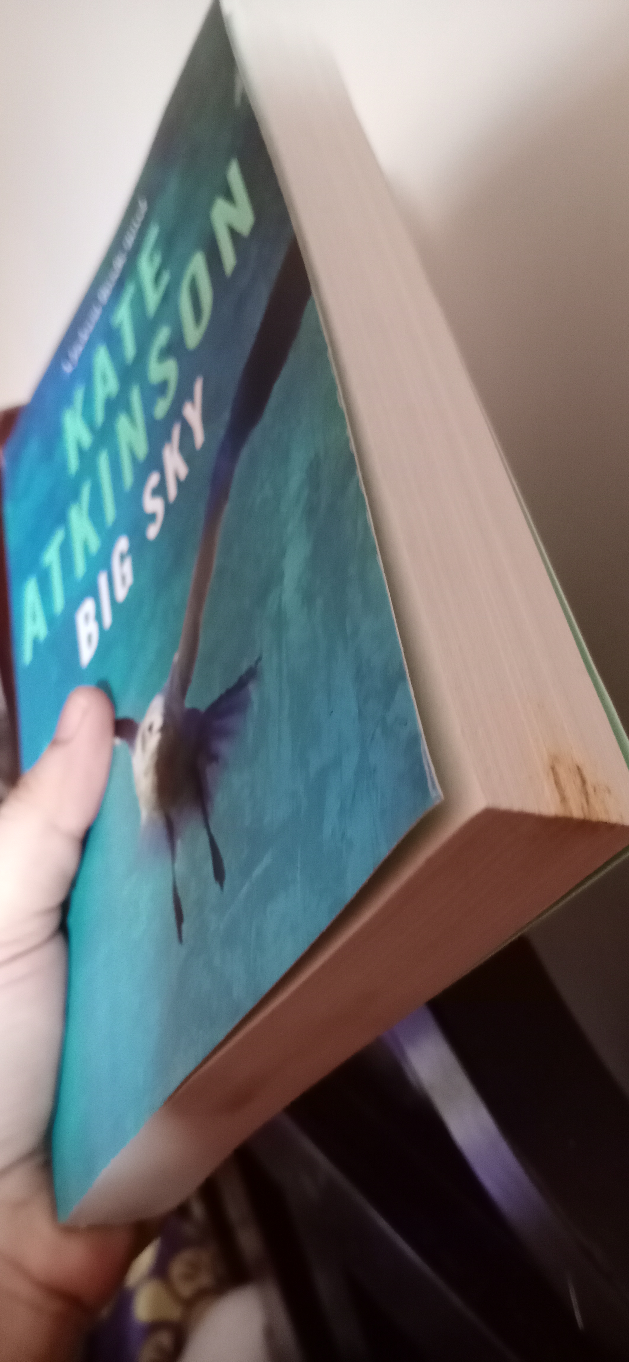 Big Sky (Jackson Brodie) : Atkinson, Kate: Amazon.in: Books