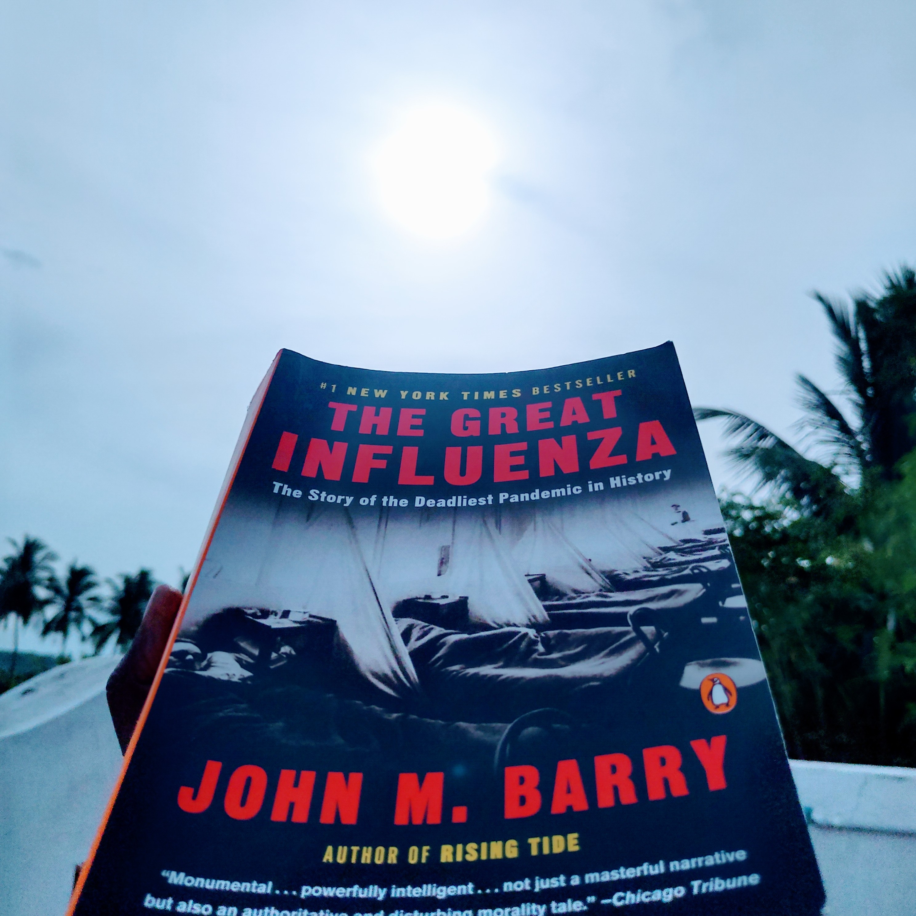 Buy The Great Influenza: The Epic Story of the Deadliest Plague in ...