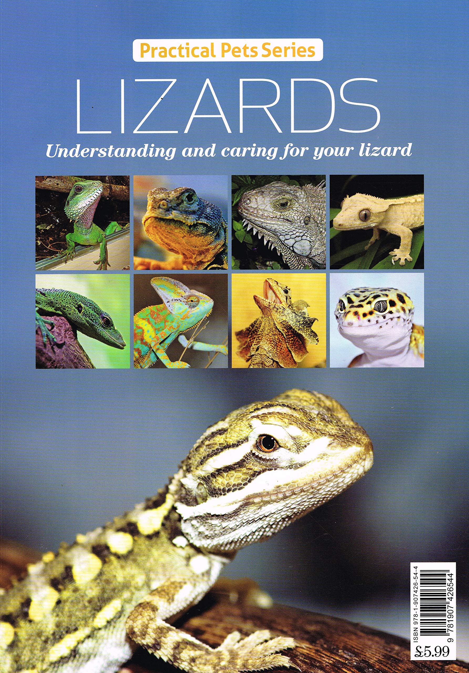 Lizards - Understanding and caring for your lizard: David Alderton ...