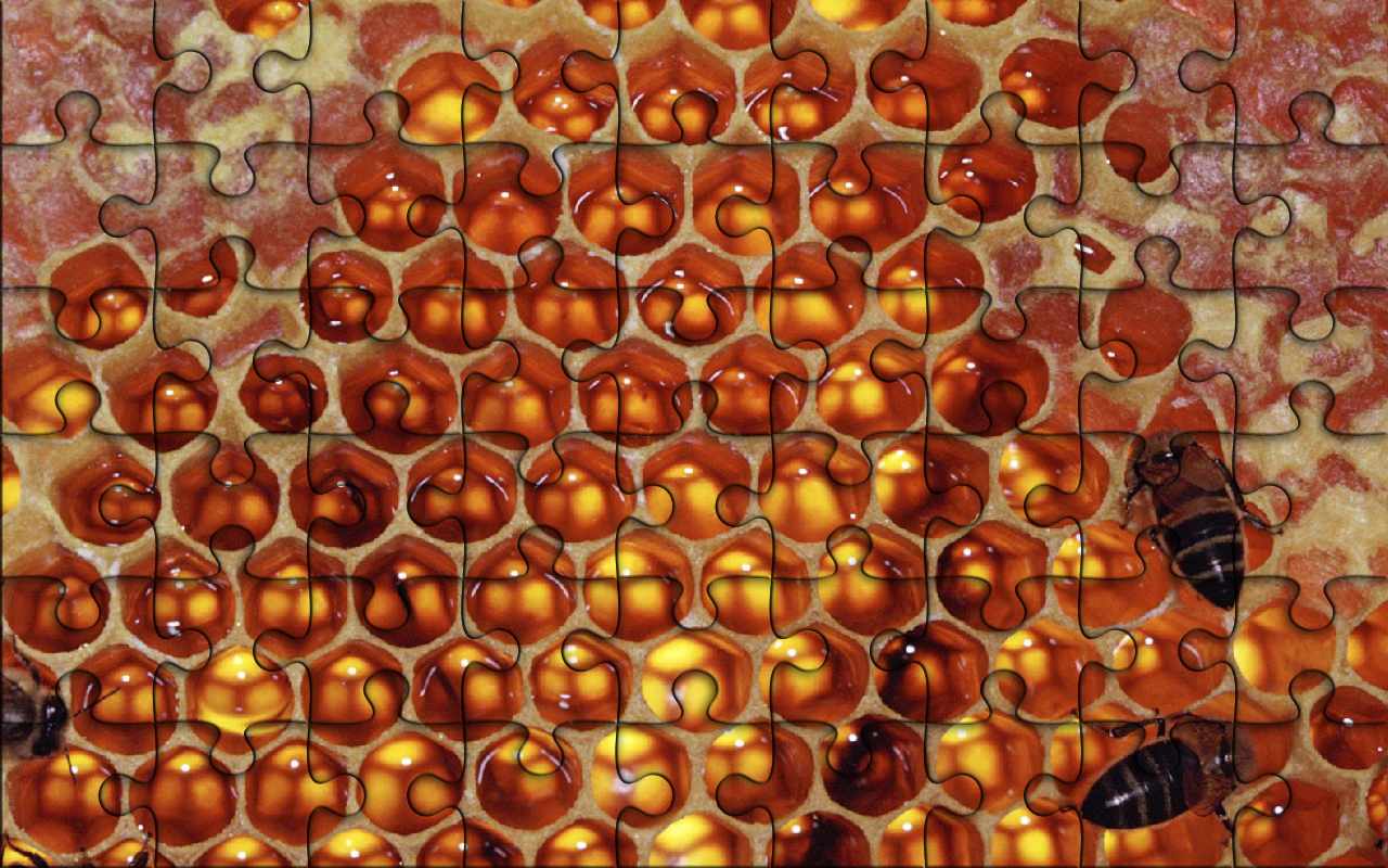 Jiggy P - jigsaw puzzles free game - App on Amazon Appstore