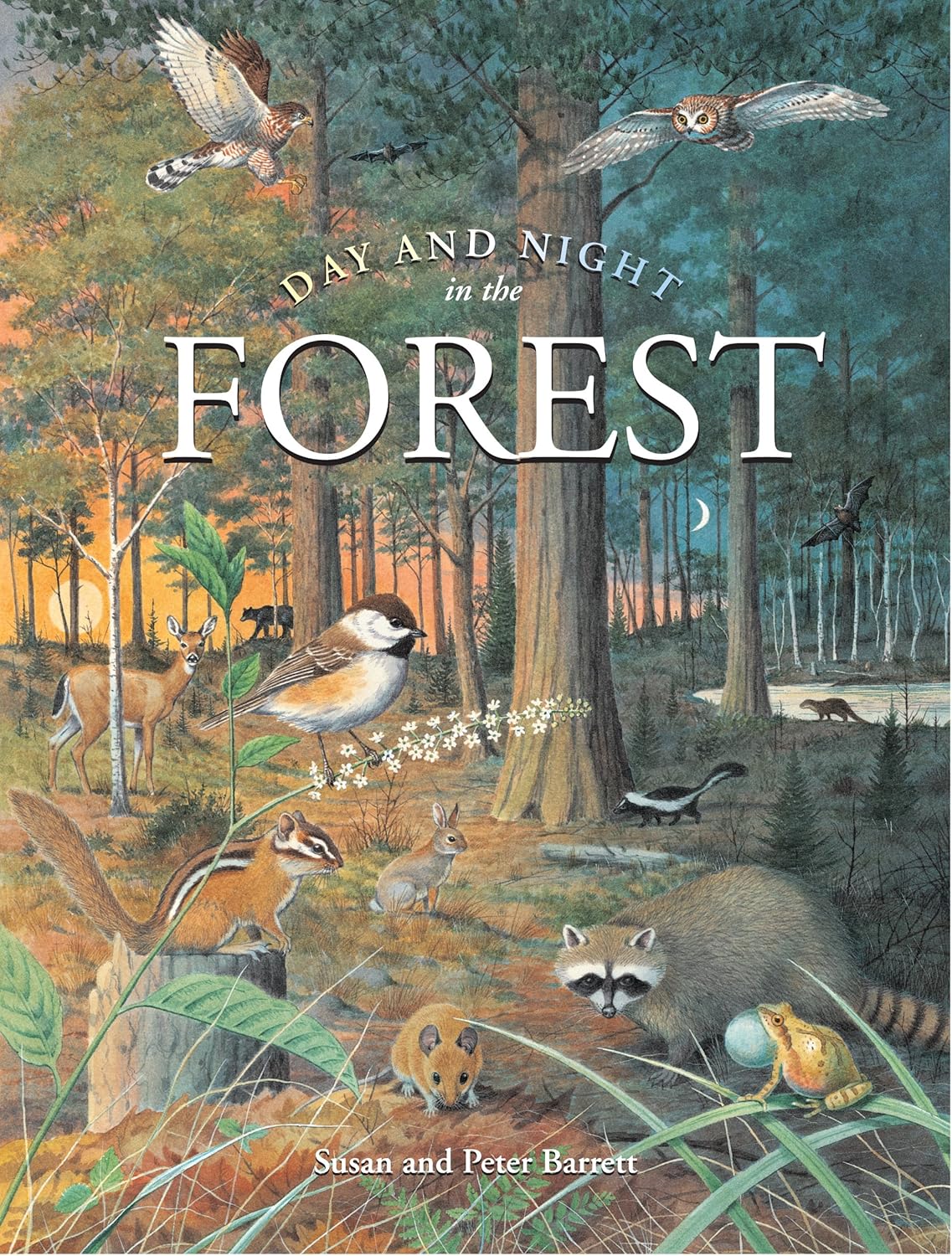 Day and Night in the Forest: Barrett, Susan, Barrett, Peter ...