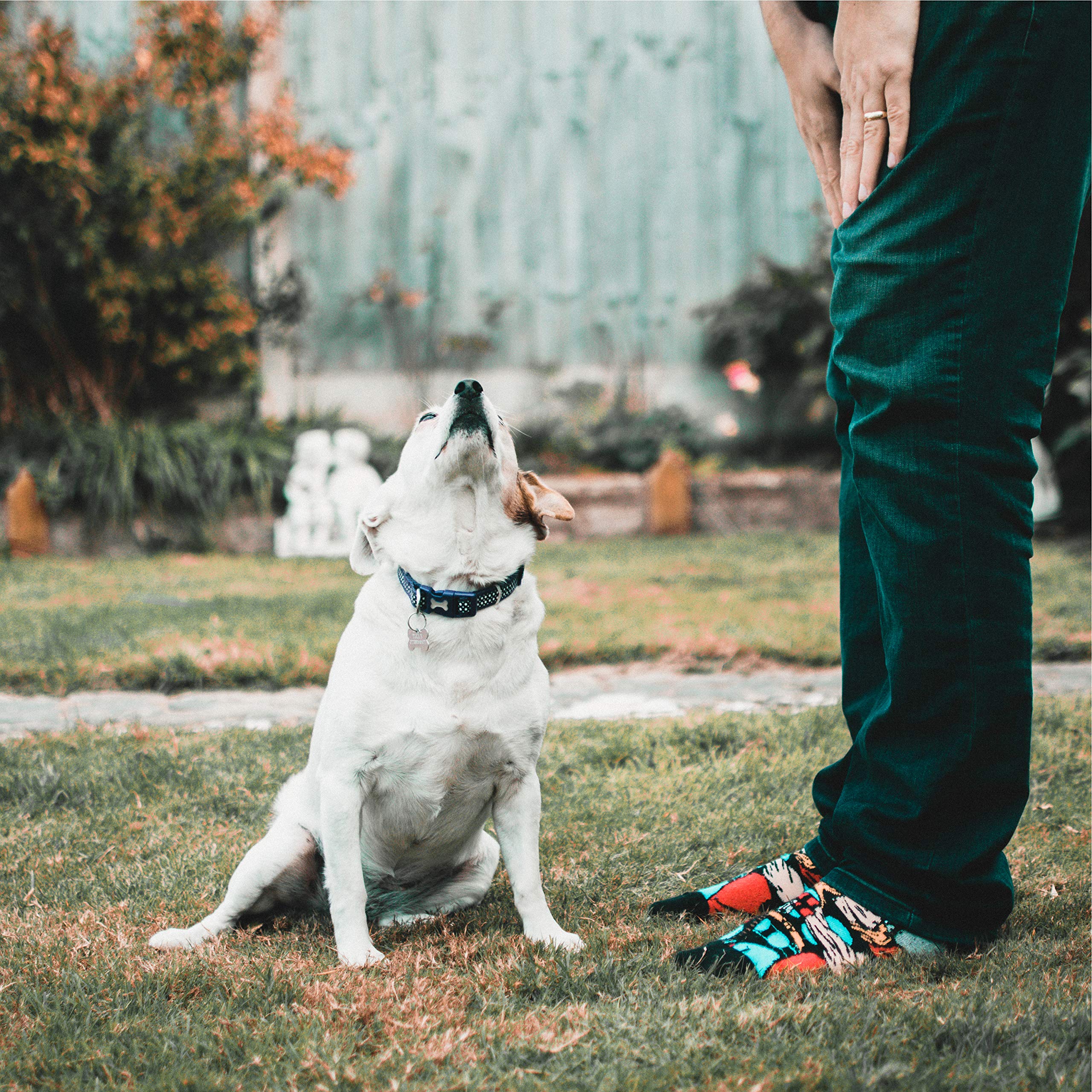 Ocean Air song by Hieling from Farthest Point of Light on Amazon Music