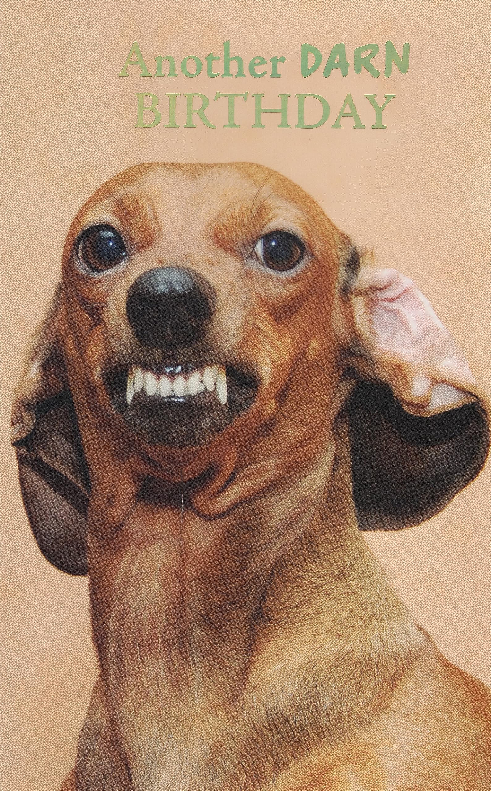 Angry Happy Birthday Memes