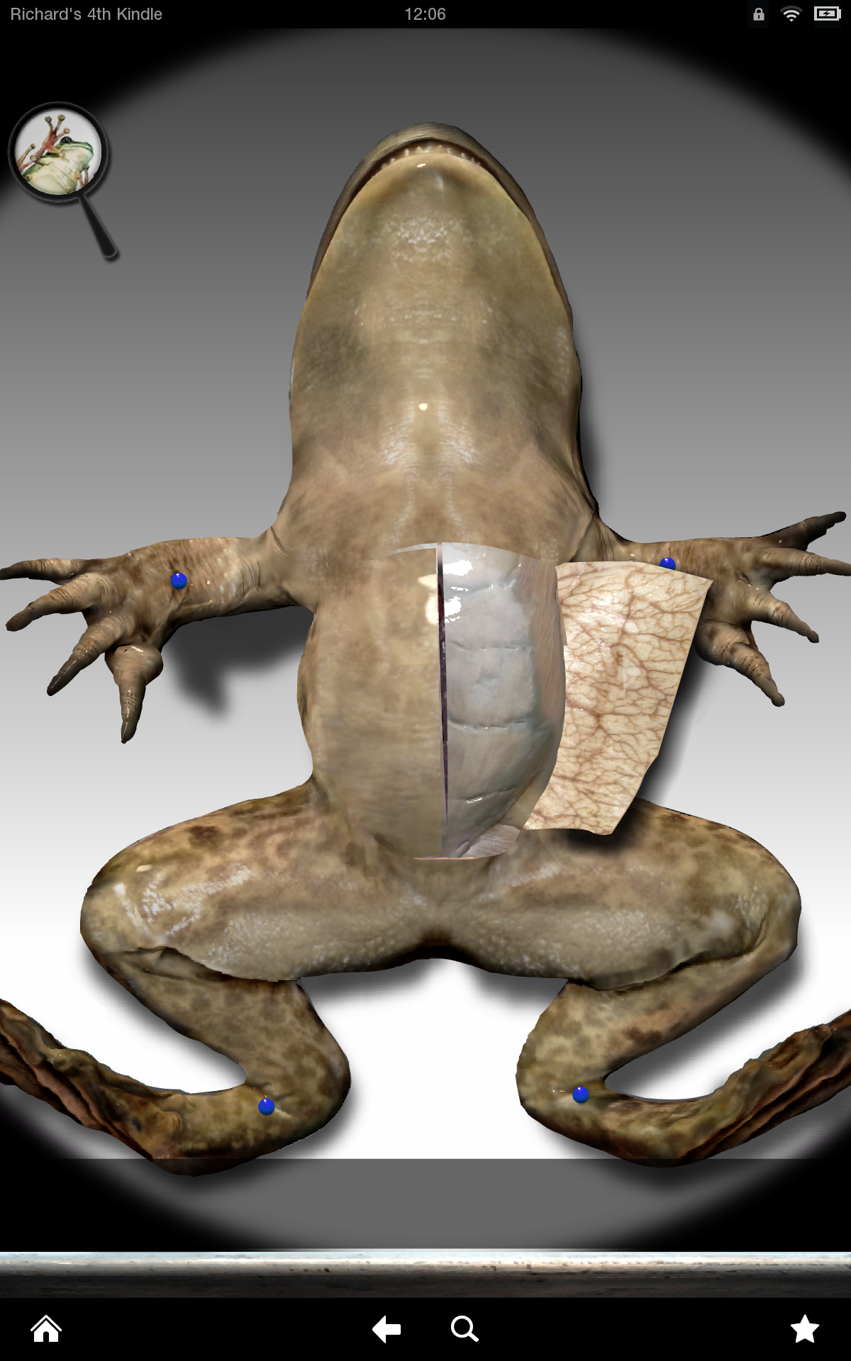 Froguts Frog Dissection (Kindle Fire HDX Tablet Edition) - App on ...