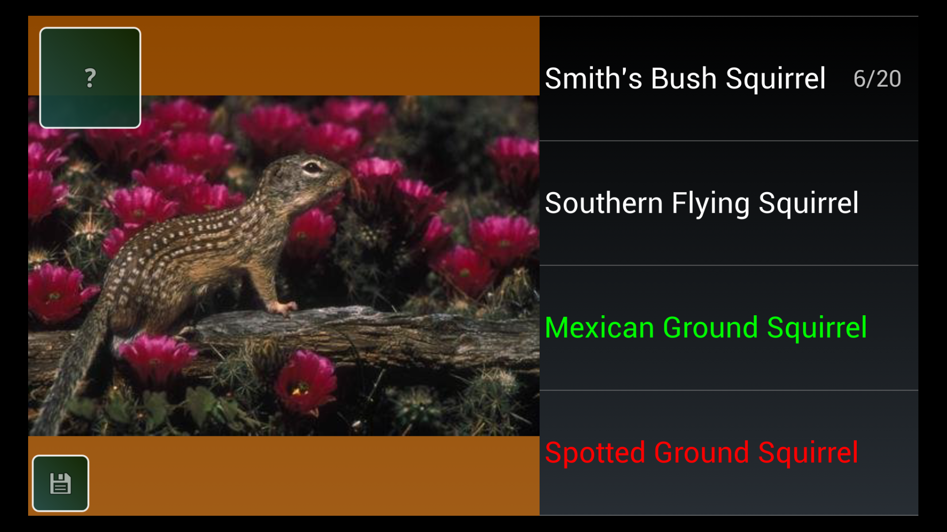 Rodent Species Trivia Quiz - App on Amazon Appstore