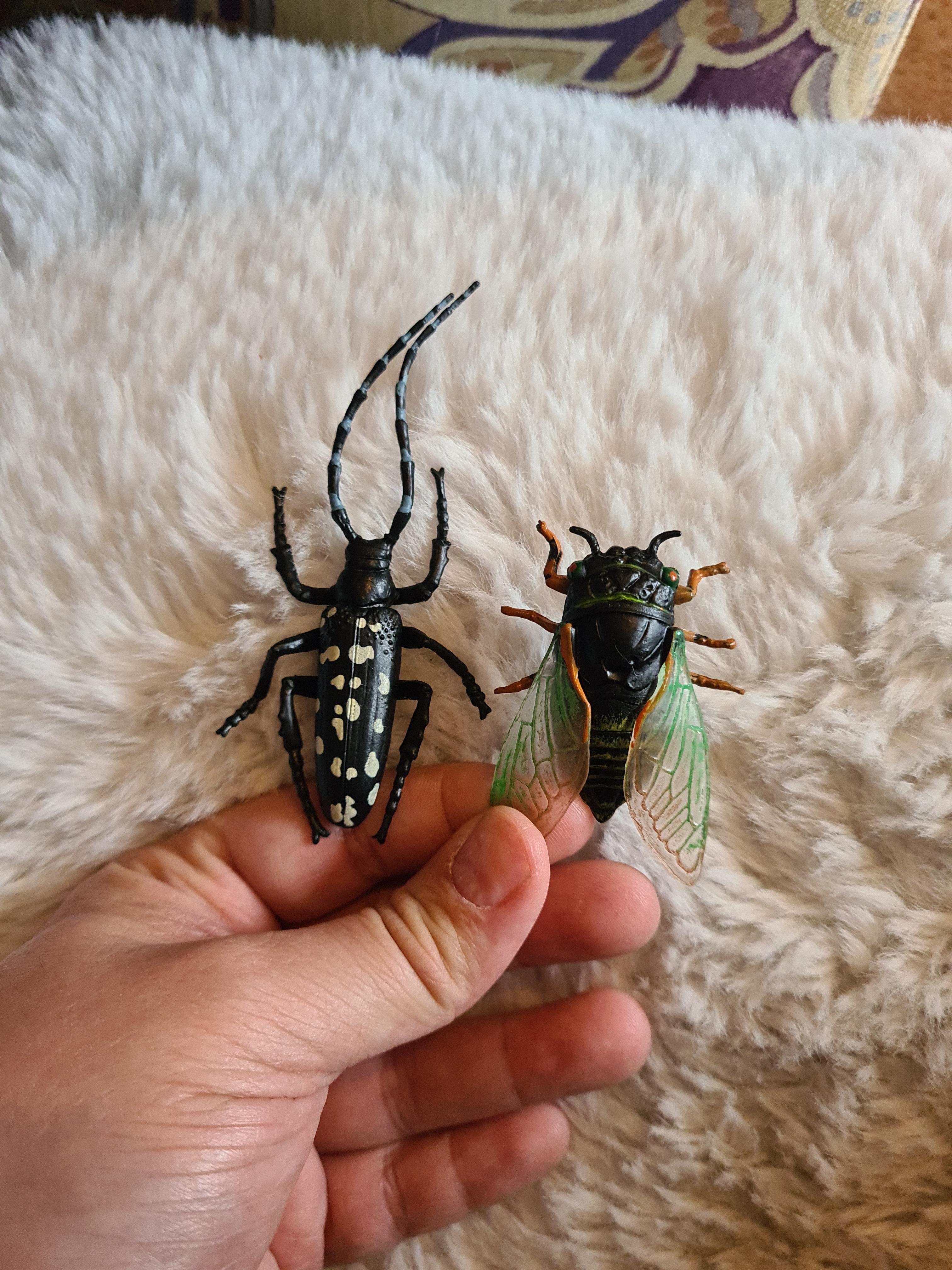 Volnau Insect Toys Figurines 13PCS Bug Animal Figures Pack for Kids ...