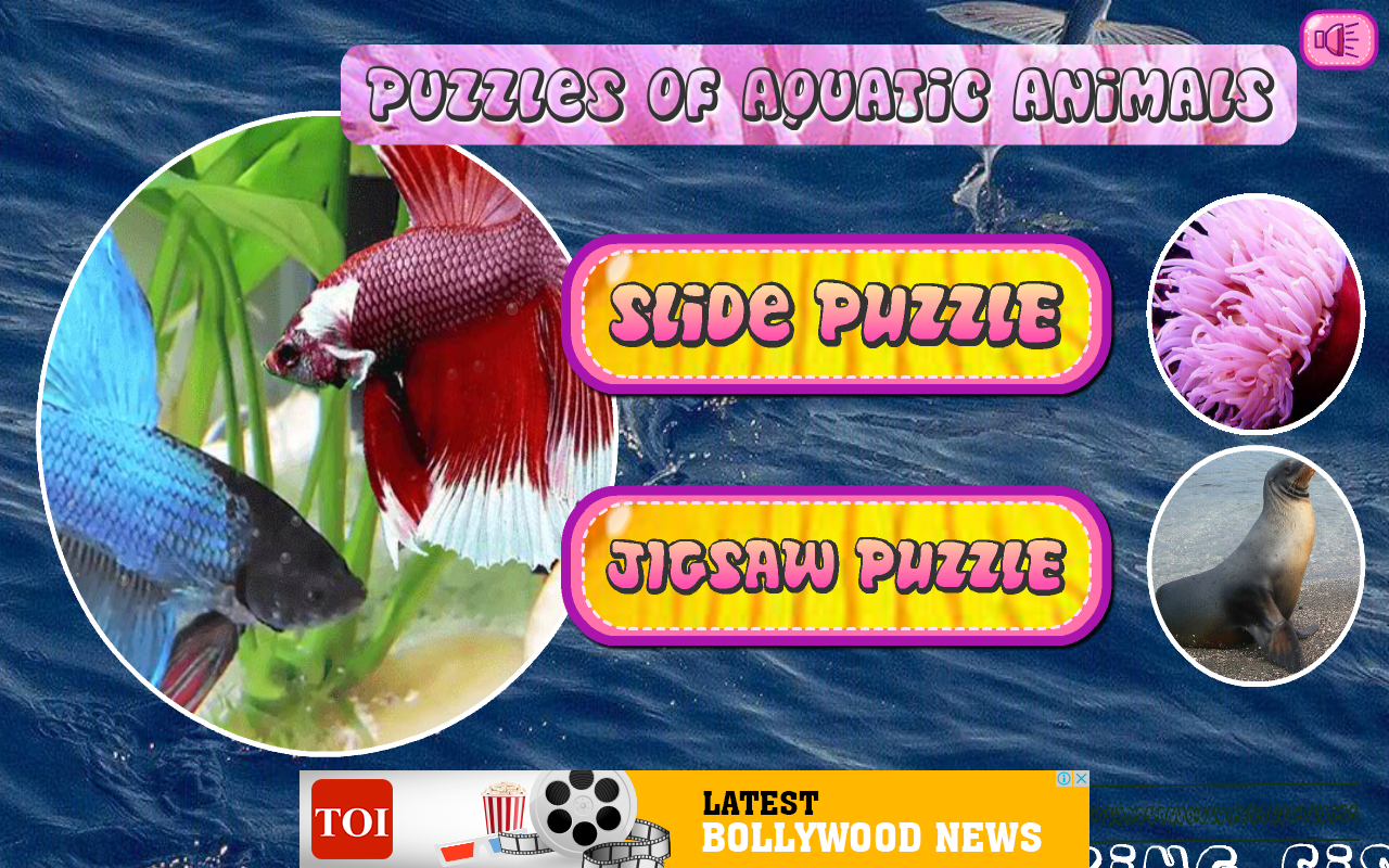 Puzzles of Aquatic Animals Free - App on Amazon Appstore