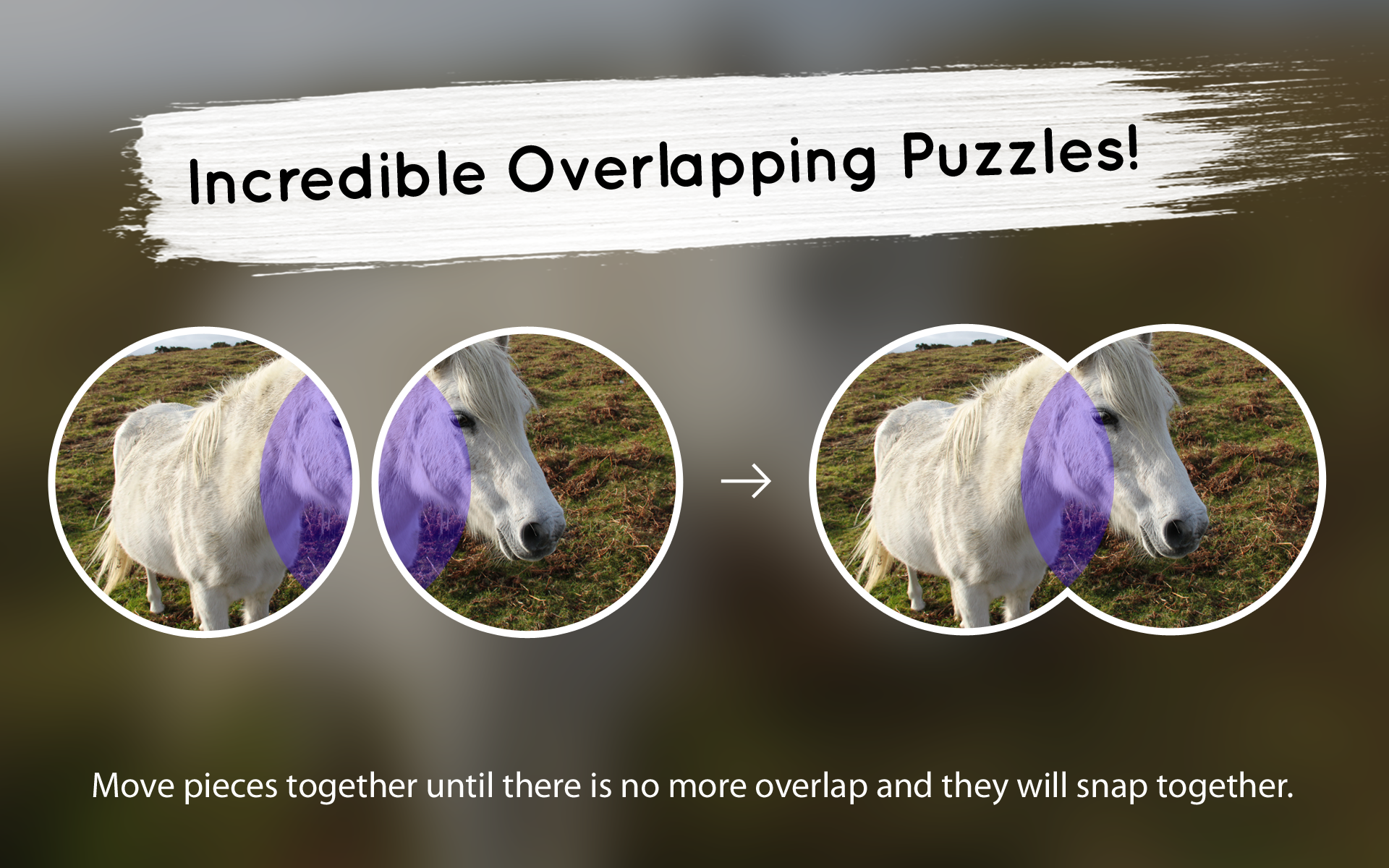 Venn Horses: Overlapping Jigsaw Puzzles - App on the Amazon Appstore
