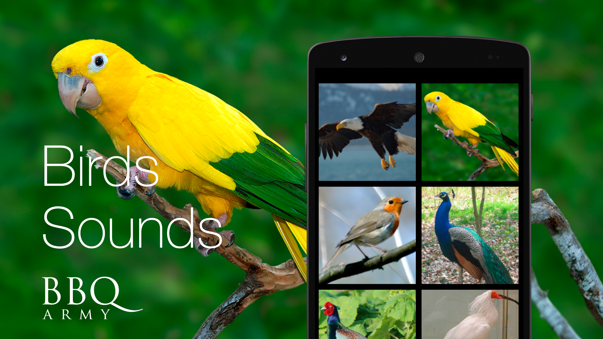 Birds Sounds - App on Amazon Appstore