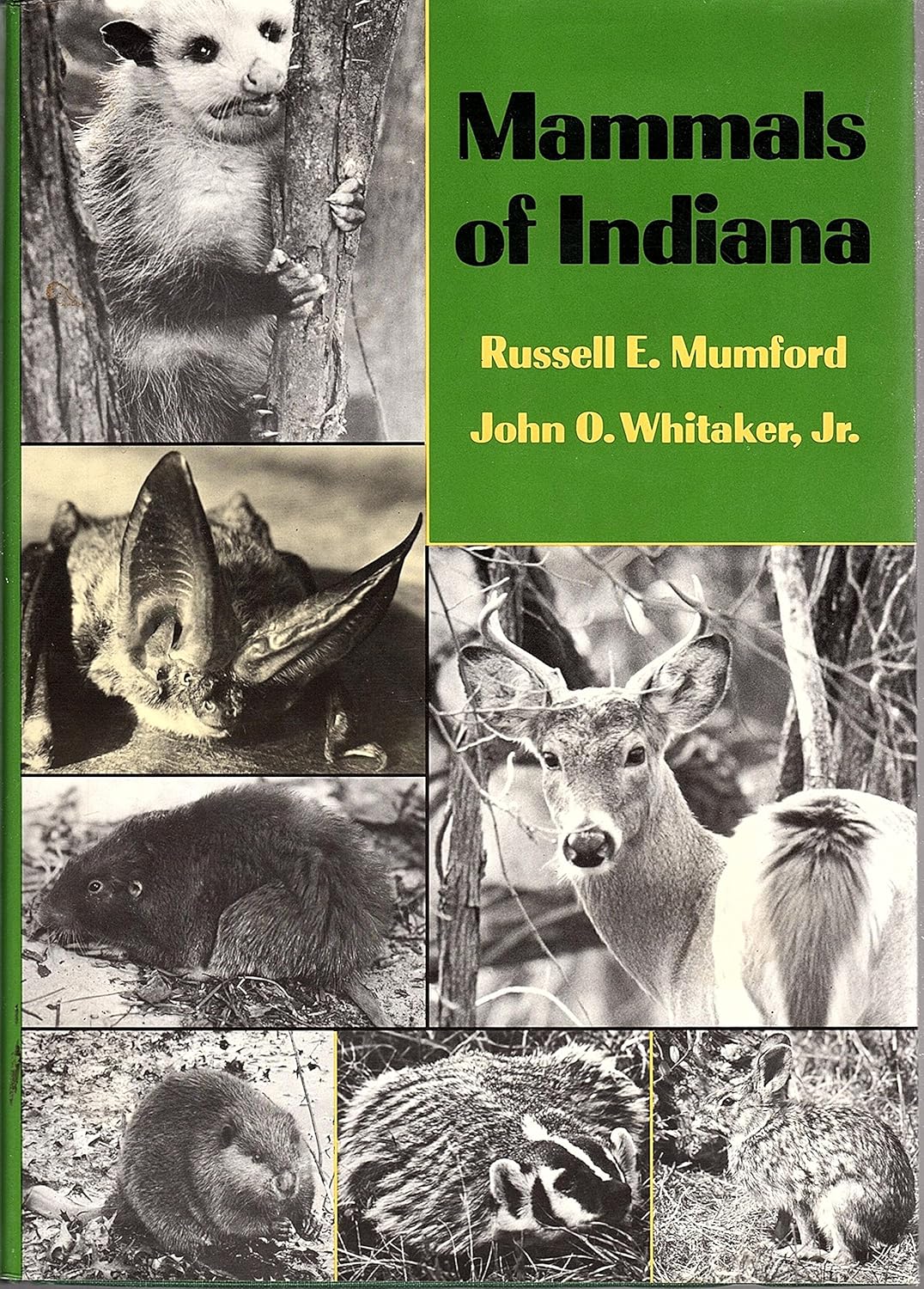 Amazon | Mammals of Indiana | Mumford, Russell E. | Mammals