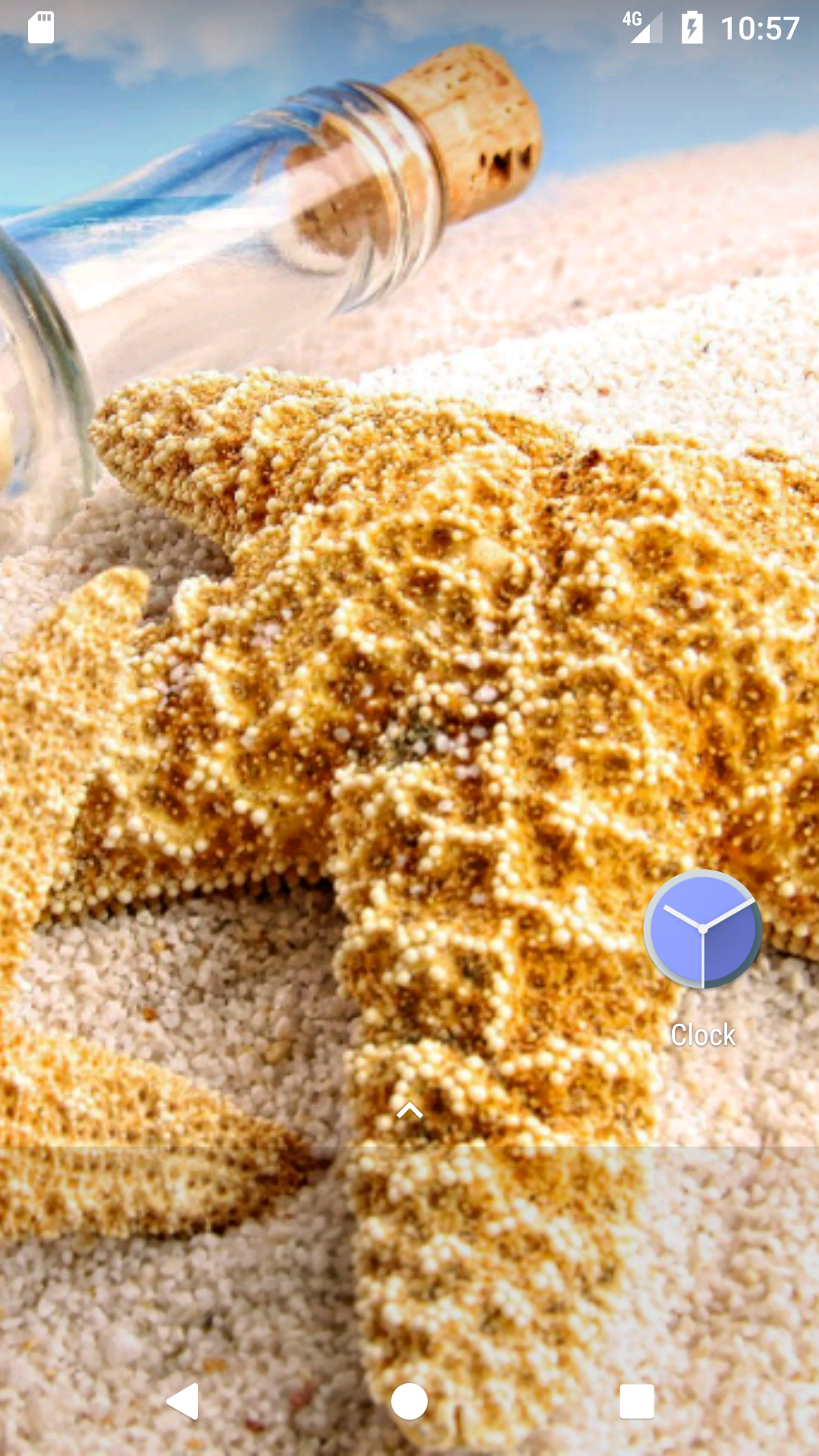 Starfish Wallpaper HD Free - App on Amazon Appstore