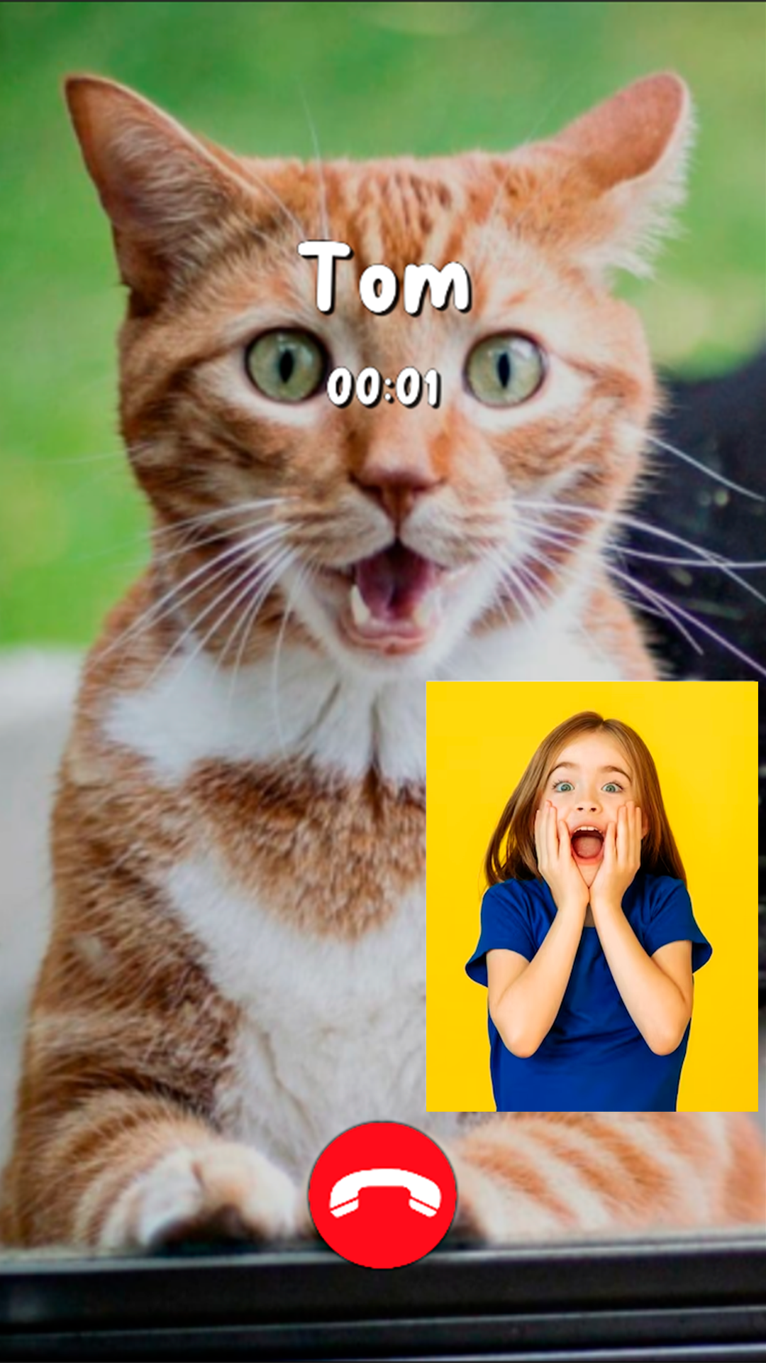 Cat Fake Video Call Prank - App on Amazon Appstore
