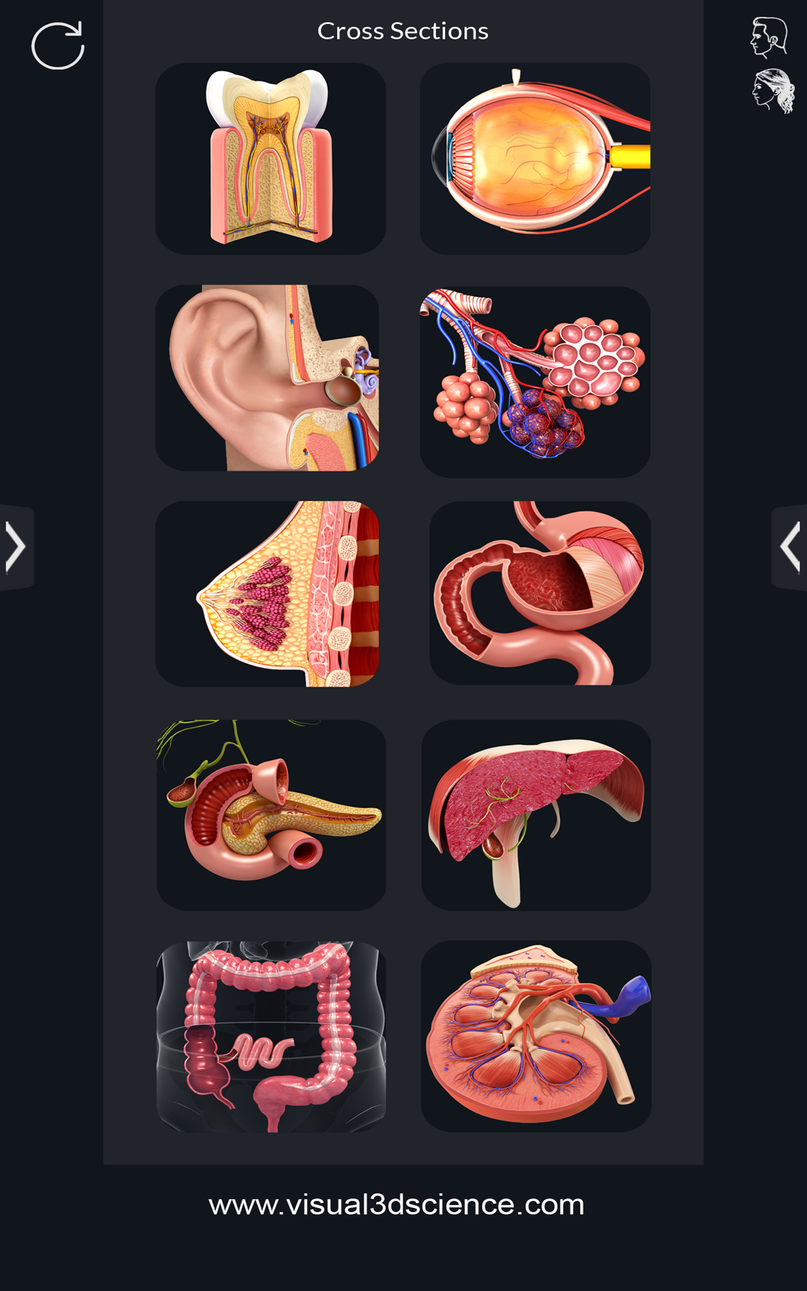 Organs Anatomy Pro. - App on Amazon Appstore