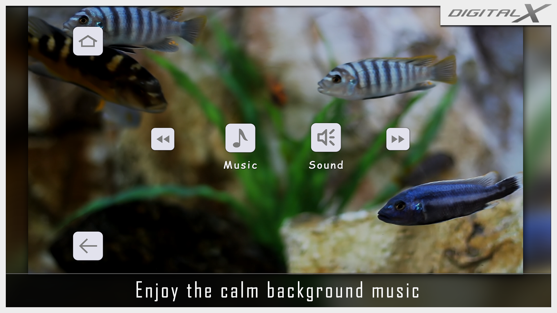 Fish Tank HD - Fish Tank for Fire TV - App on Amazon Appstore